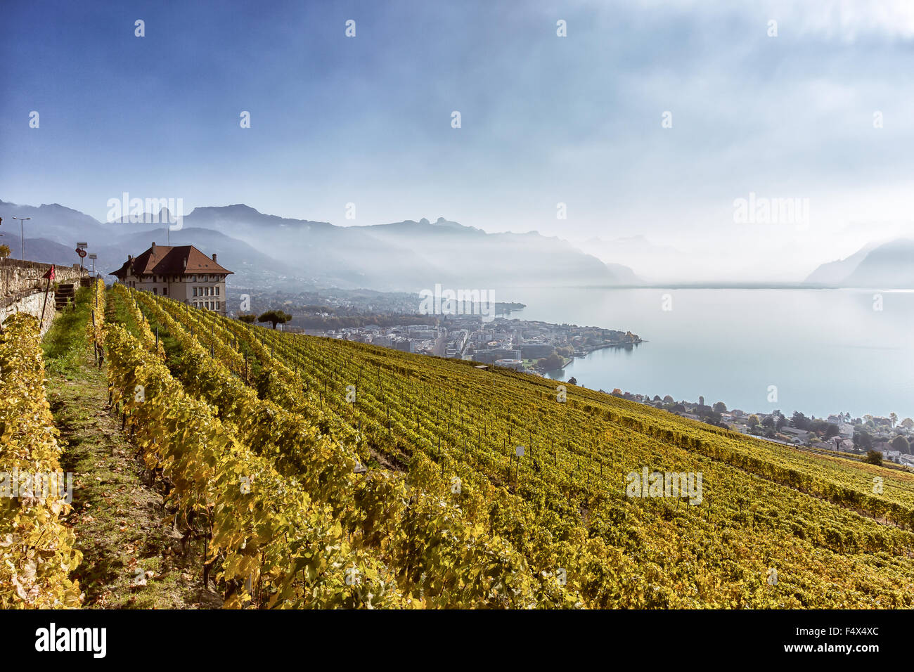 Lavaux unesco -Fotos und -Bildmaterial in hoher Auflösung – Alamy