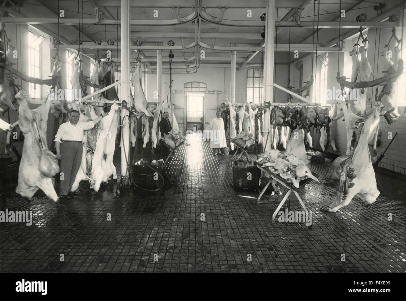 Eine zentrale schlachtung von rindfleisch -Fotos und -Bildmaterial in ...