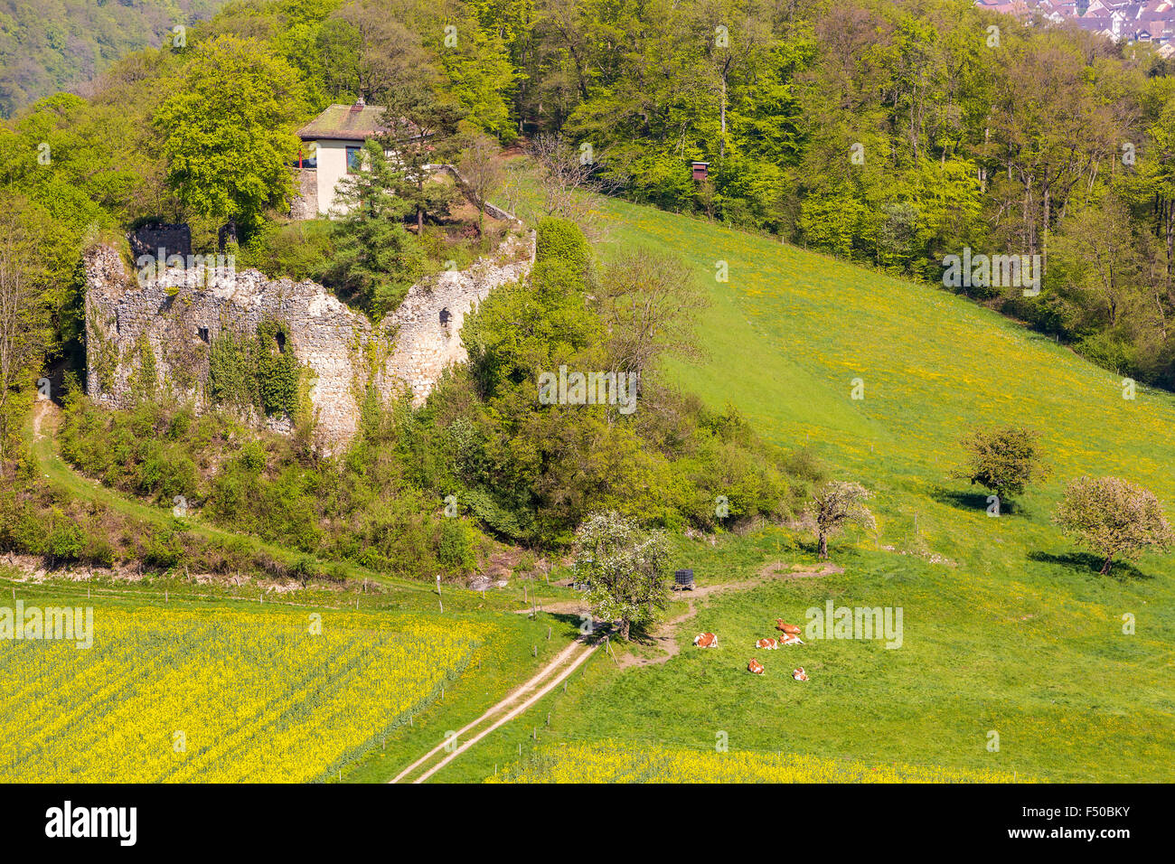 Ruine schauenburg -Fotos und -Bildmaterial in hoher Auflösung – Alamy