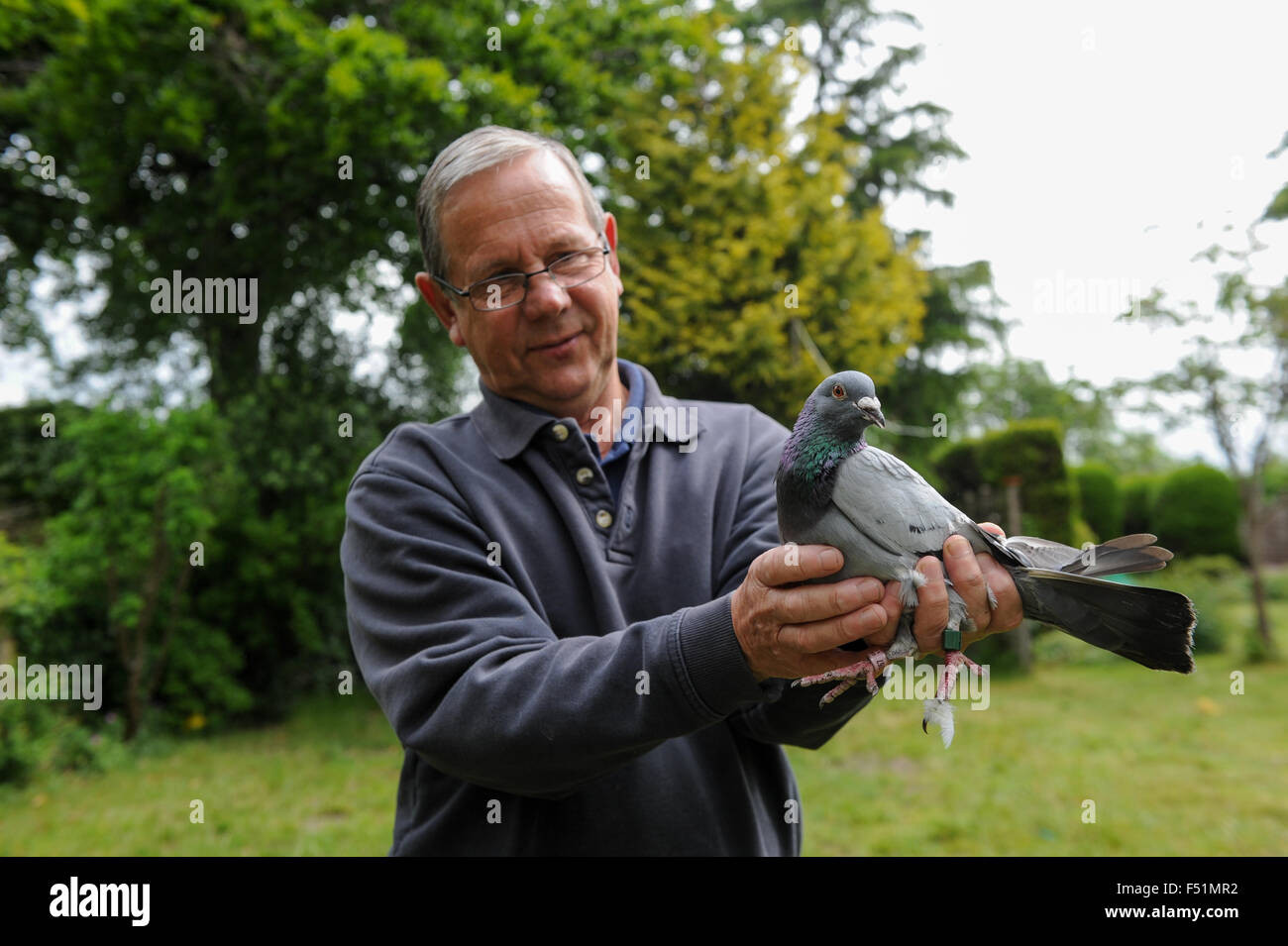Pigeon fancier -Fotos und -Bildmaterial in hoher Auflösung – Alamy