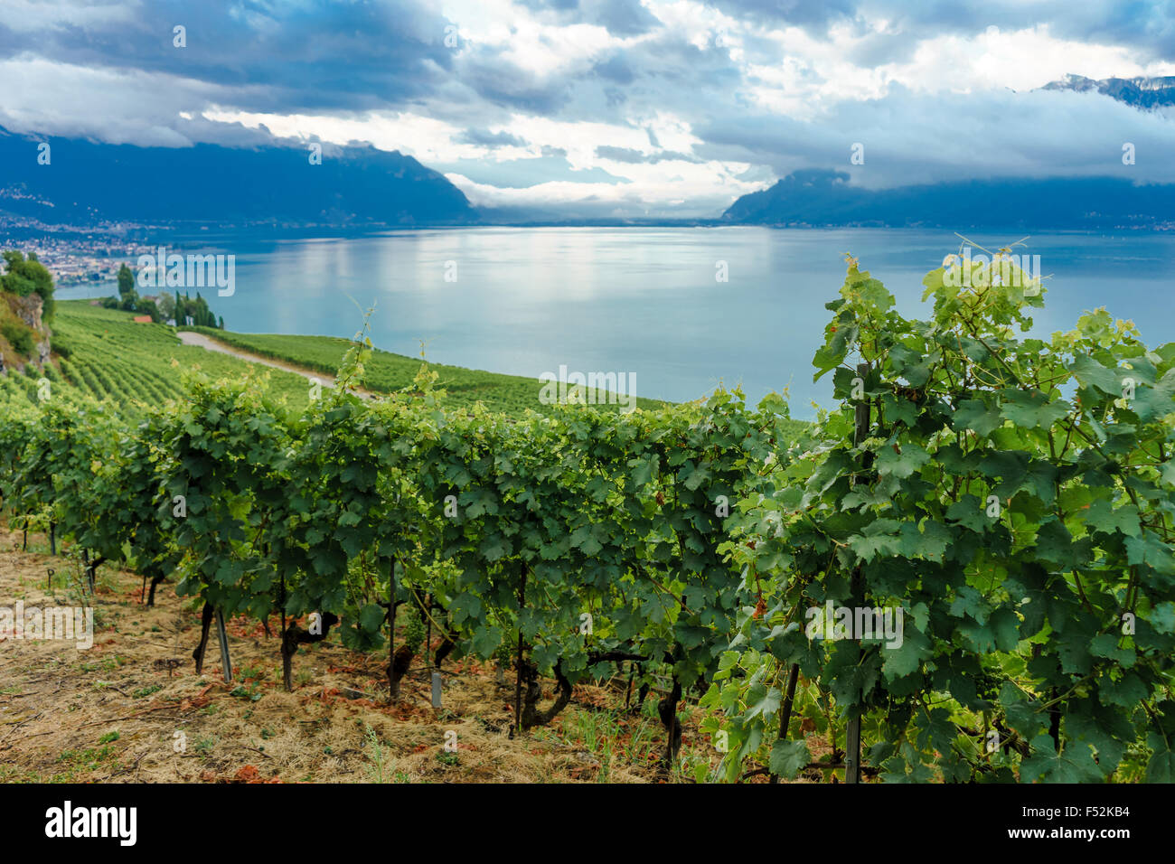 Lavaux unesco welterbe region -Fotos und -Bildmaterial in hoher ...