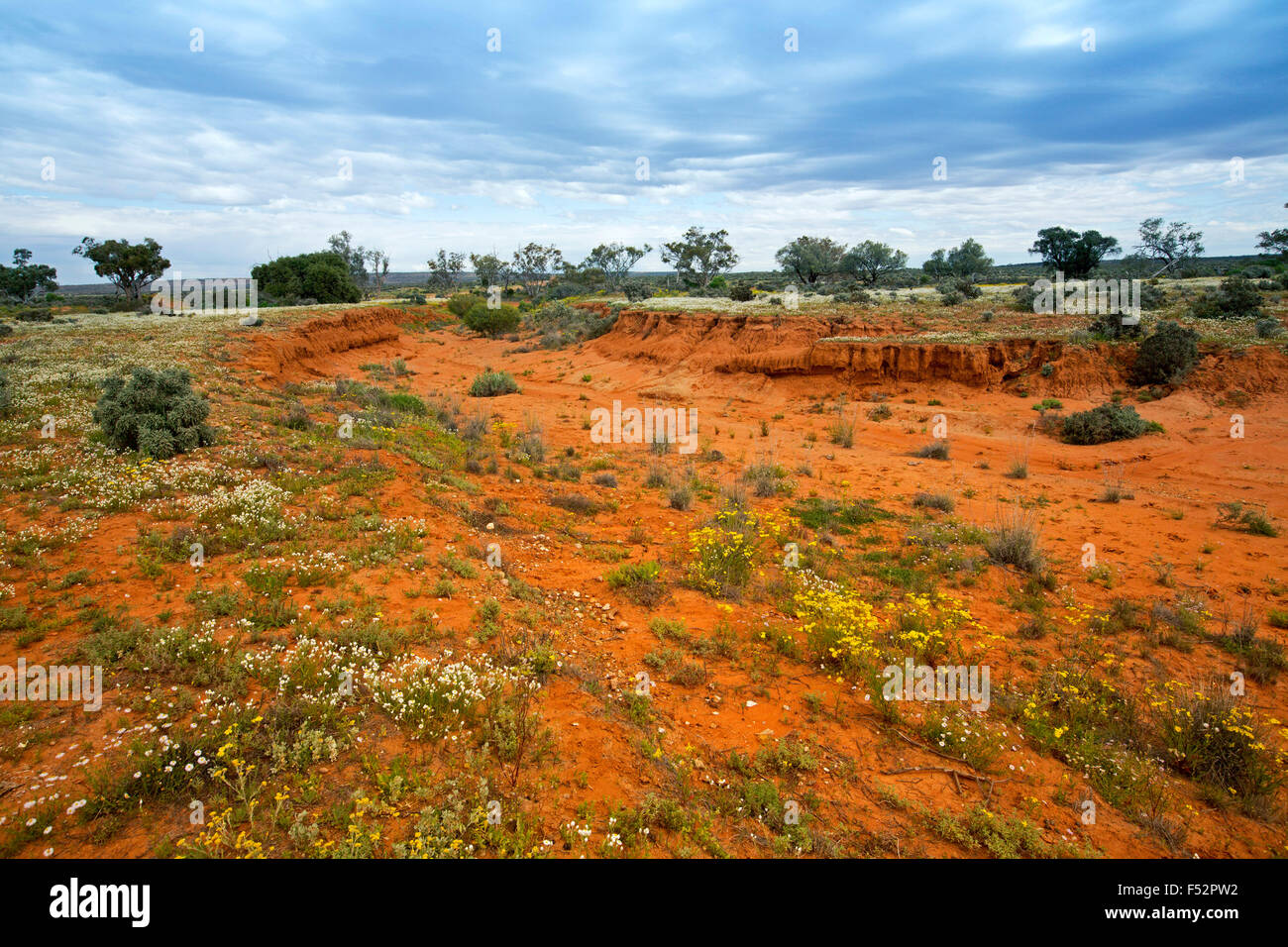 Australian desert -Fotos und -Bildmaterial in hoher Auflösung – Alamy