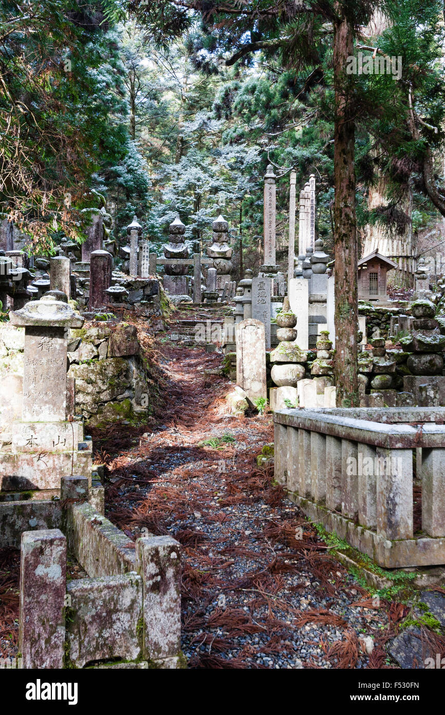 Japan, Koyasan, Okunoin Friedhof. Kleine Bahn im zedernwald, zwischen ...