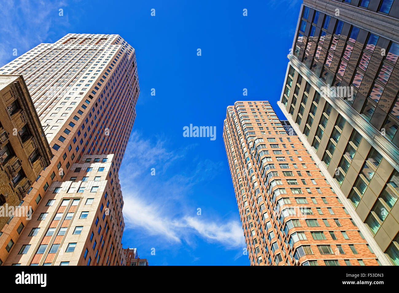 Hochhauser New York