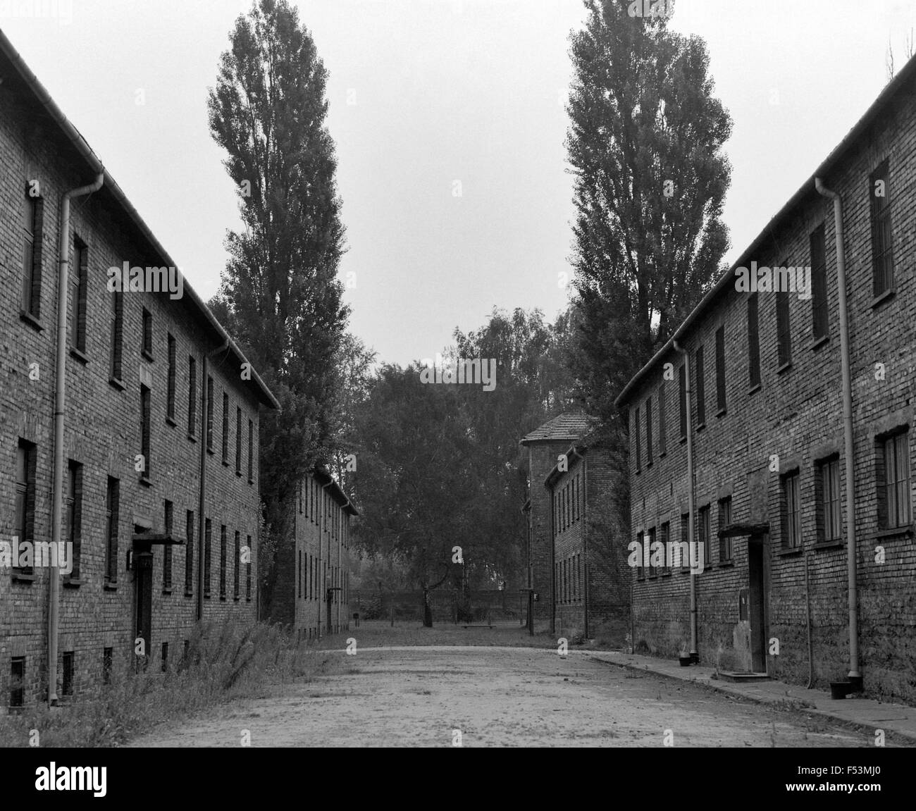15.08.1985, Oswiecim, Kleinpolen, Polen - Auschwitz-Birkenau ...