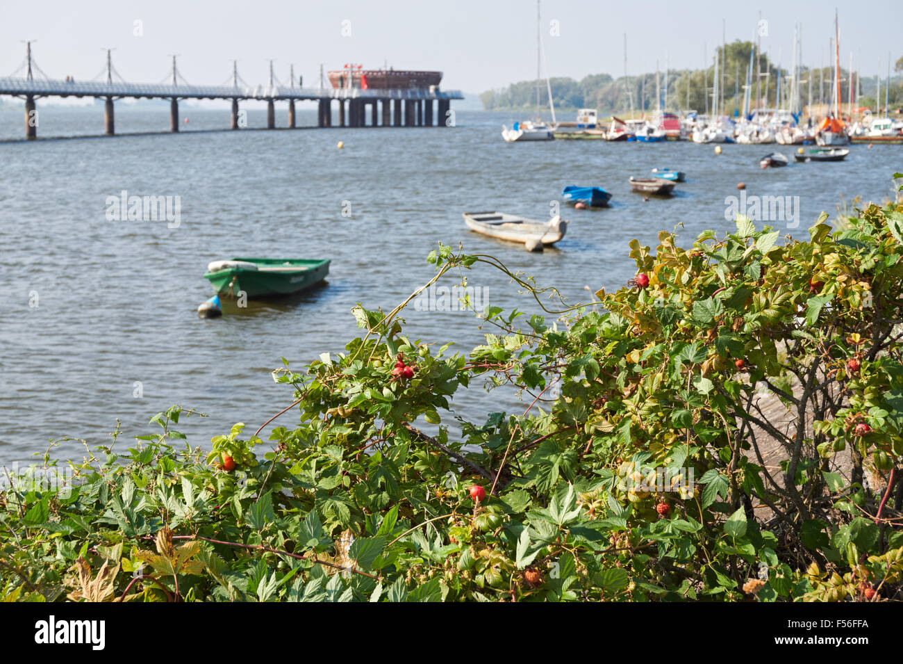 Włocławek Reservoir an Weichsel in Plock, Polen Stockfotografie - Alamy