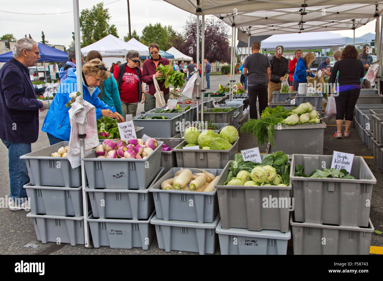 Kohlrabi bauernmarkt -Fotos und -Bildmaterial in hoher Auflösung – Alamy