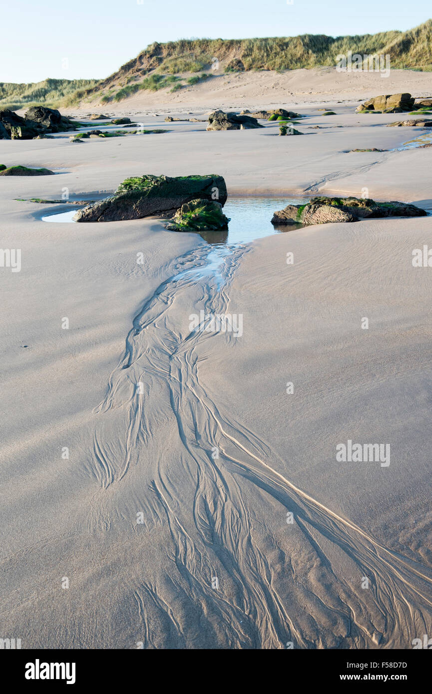 Wasser verursachte muster im sand -Fotos und -Bildmaterial in hoher Auflösung – Alamy