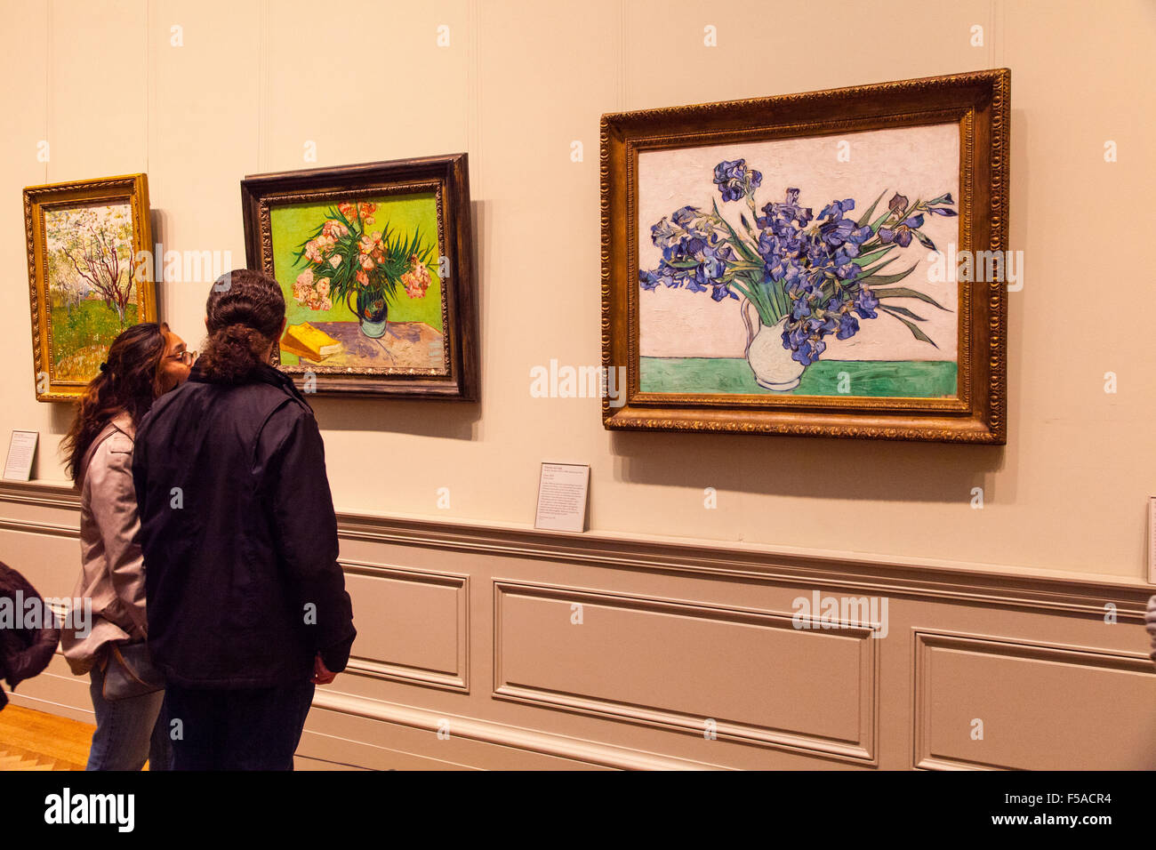Schwertlilien von Vincent van Gogh (1890) in The Metropolitan Museum of ...