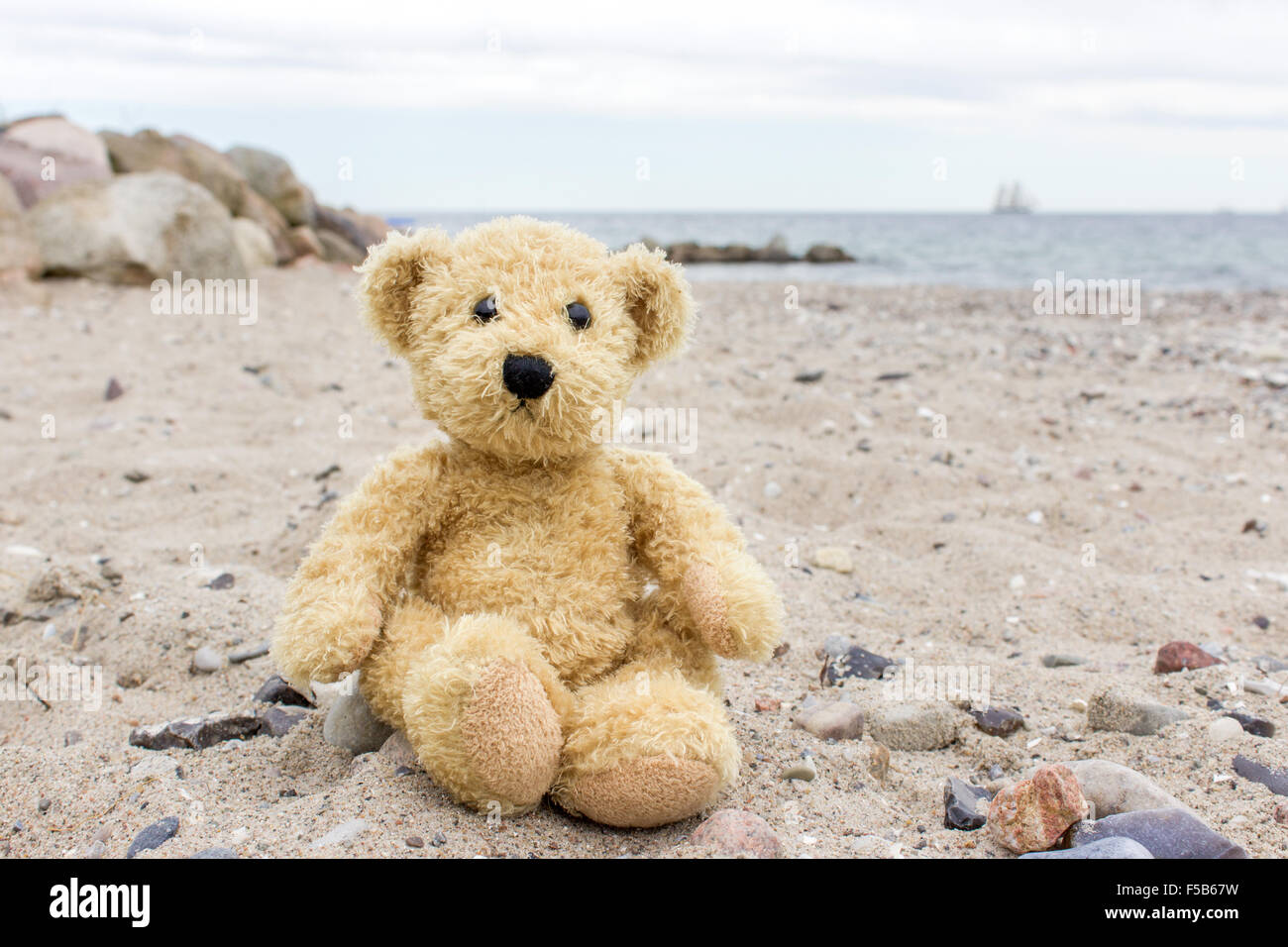Teddybär sitzt am strand -Fotos und -Bildmaterial in hoher Auflösung ...