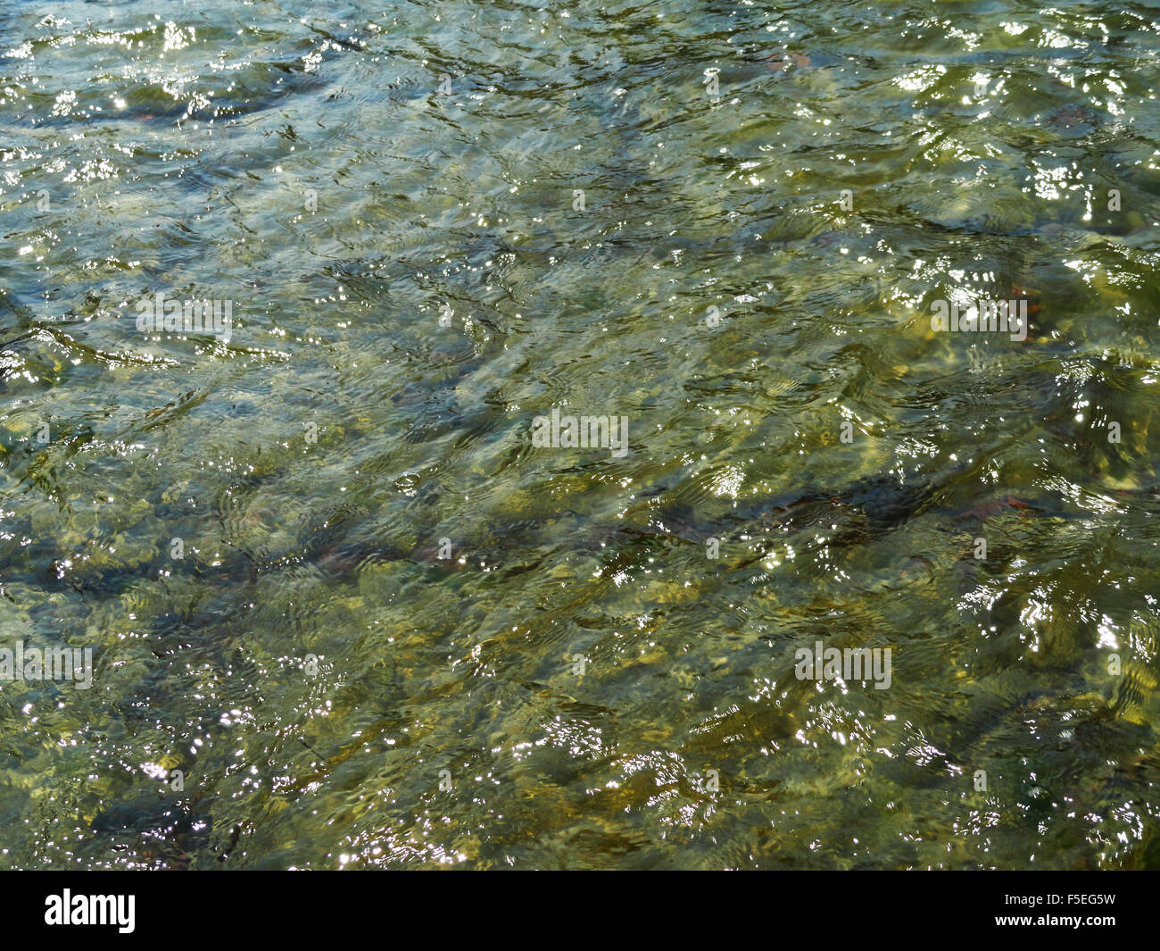 Wasser lebensunterhalt -Fotos und -Bildmaterial in hoher Auflösung – Alamy