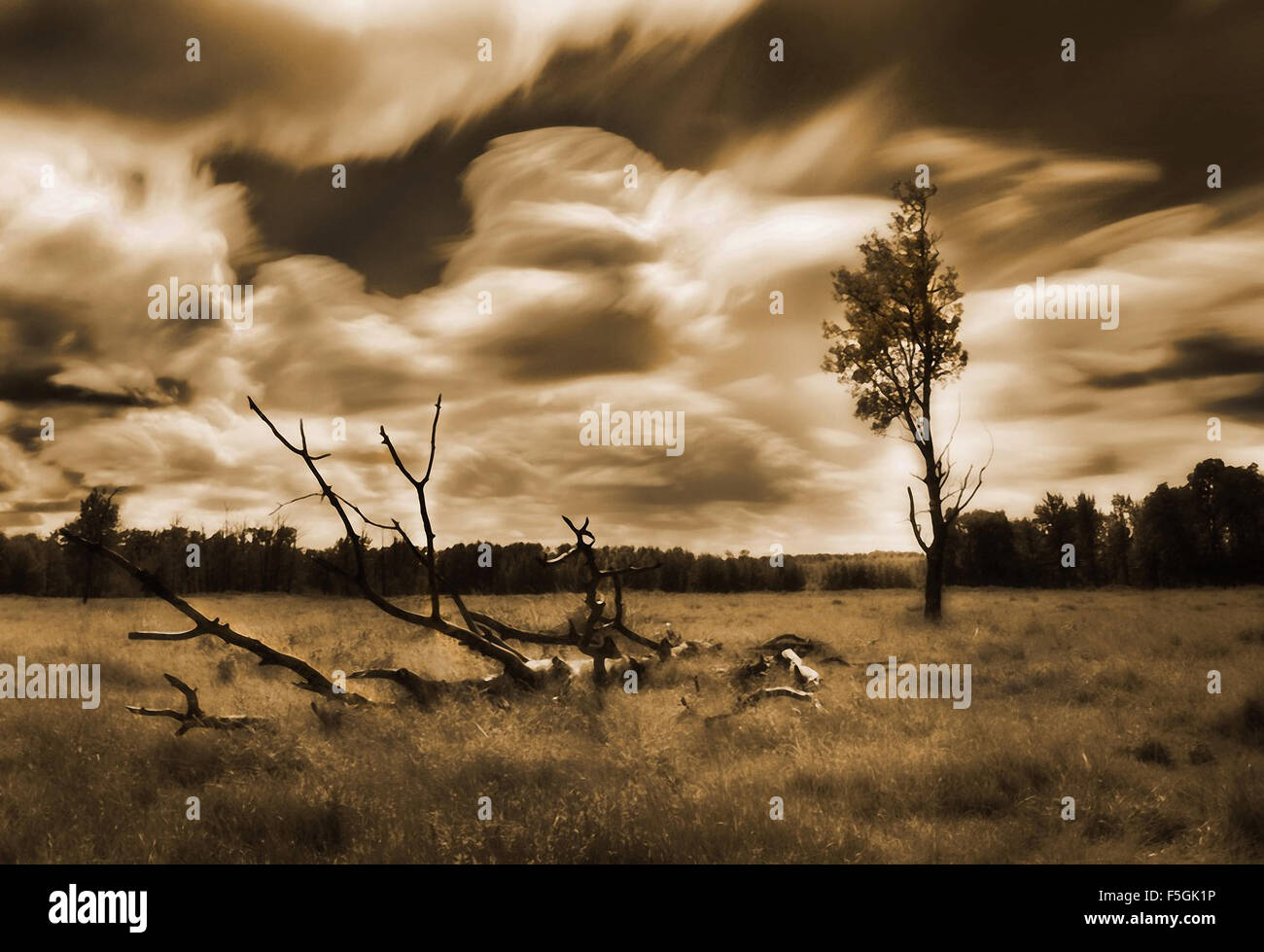 Infrared photography -Fotos und -Bildmaterial in hoher Auflösung – Alamy