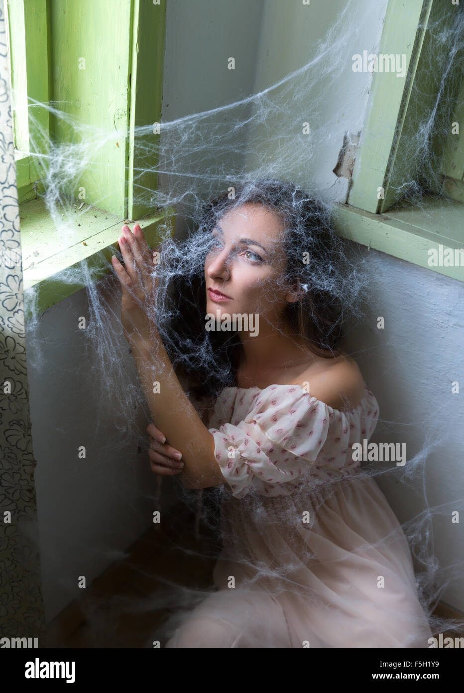 Spinnennetz ecke -Fotos und -Bildmaterial in hoher Auflösung – Alamy