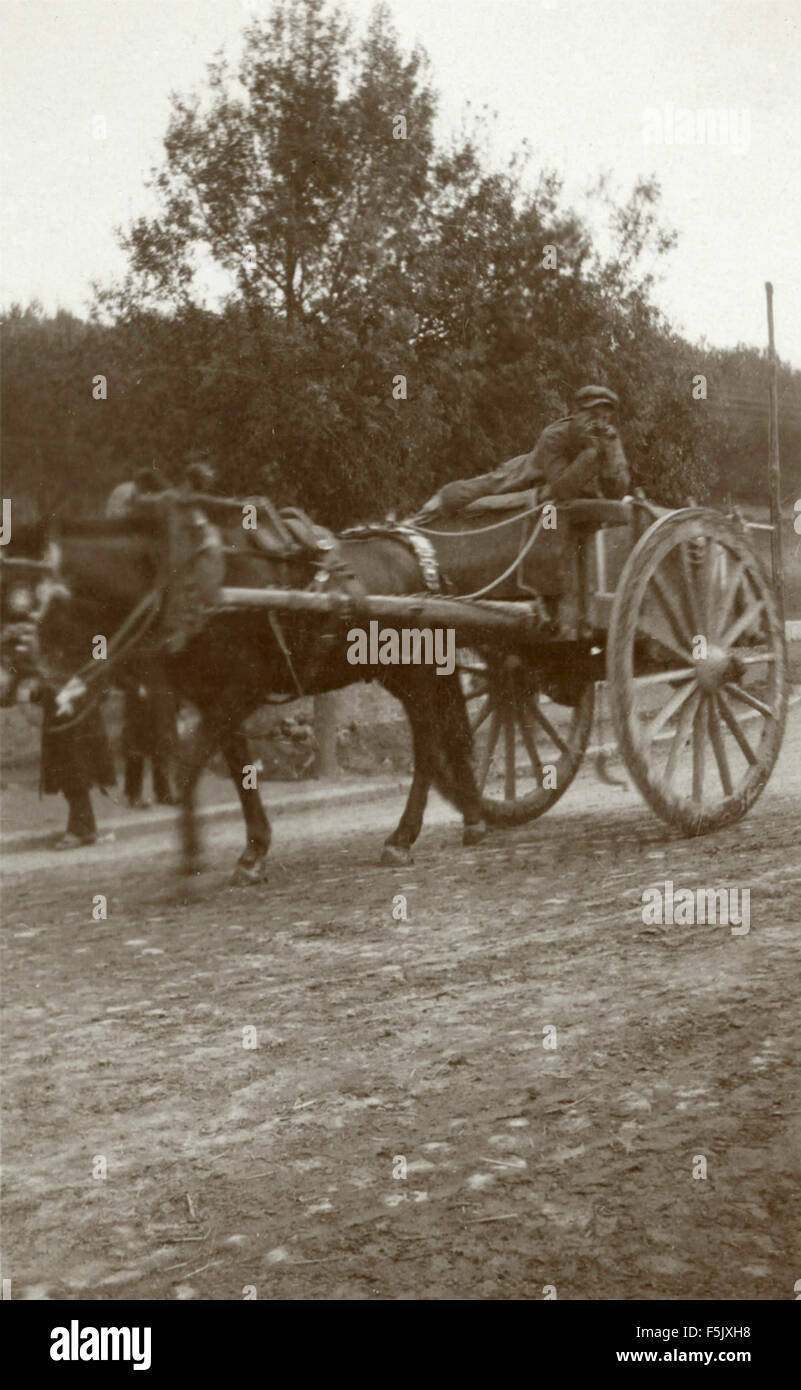 Horse pulled wagon -Fotos und -Bildmaterial in hoher Auflösung – Alamy