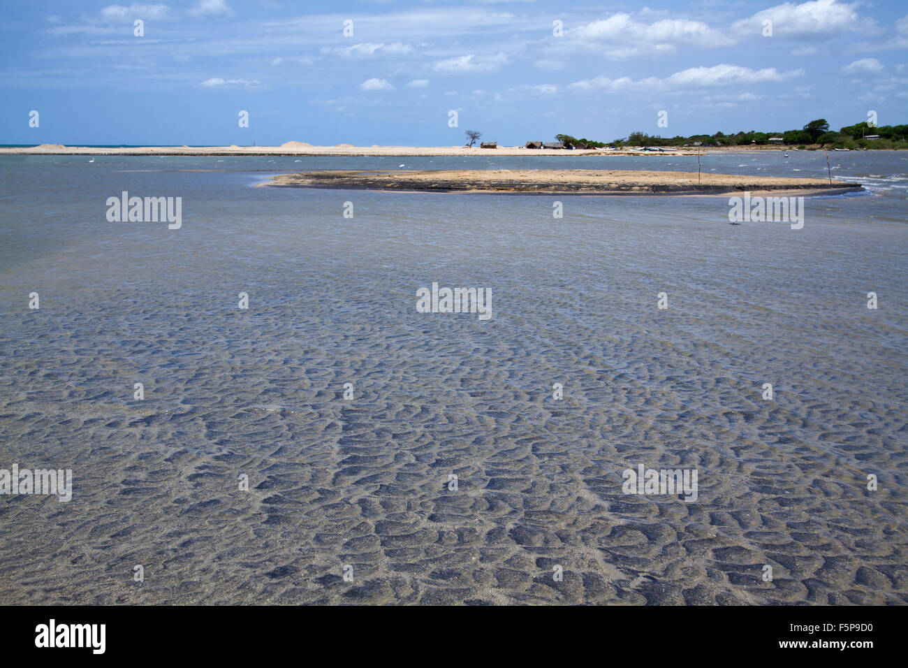 Kokkilai lagune pulmoddai -Fotos und -Bildmaterial in hoher Auflösung ...