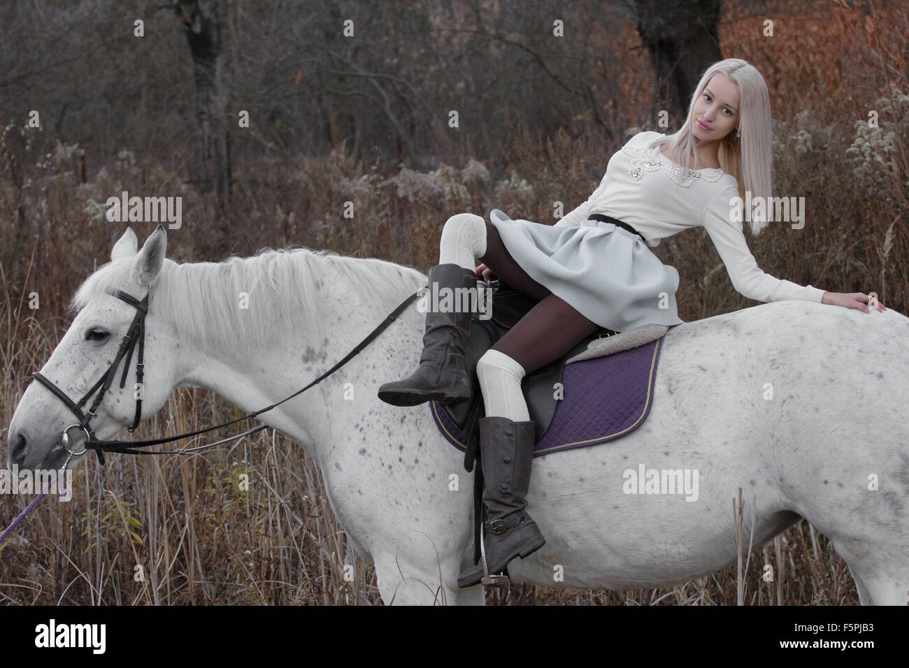 Mädchen mit einem pferd auf dem feld -Fotos und -Bildmaterial in hoher ...