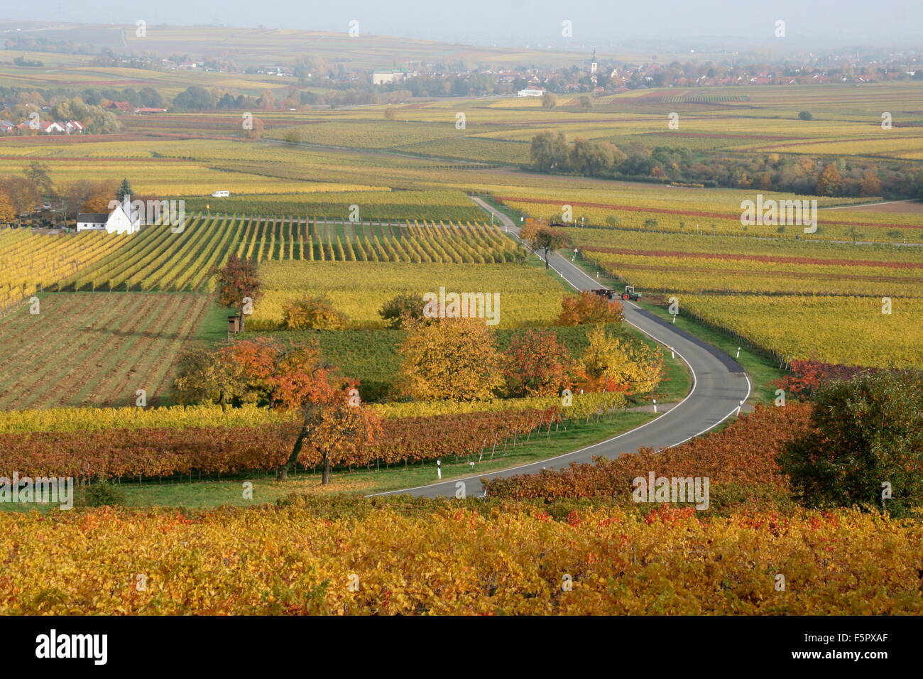 Deutsches weinland -Fotos und -Bildmaterial in hoher Auflösung – Alamy