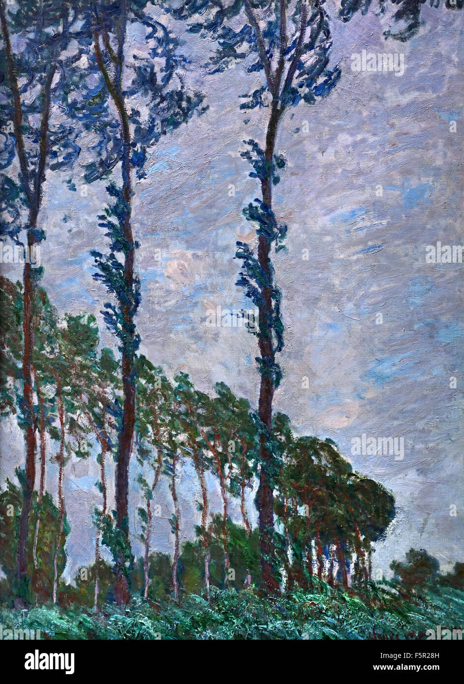 Pappelserie claude monet -Fotos und -Bildmaterial in hoher Auflösung – Alamy