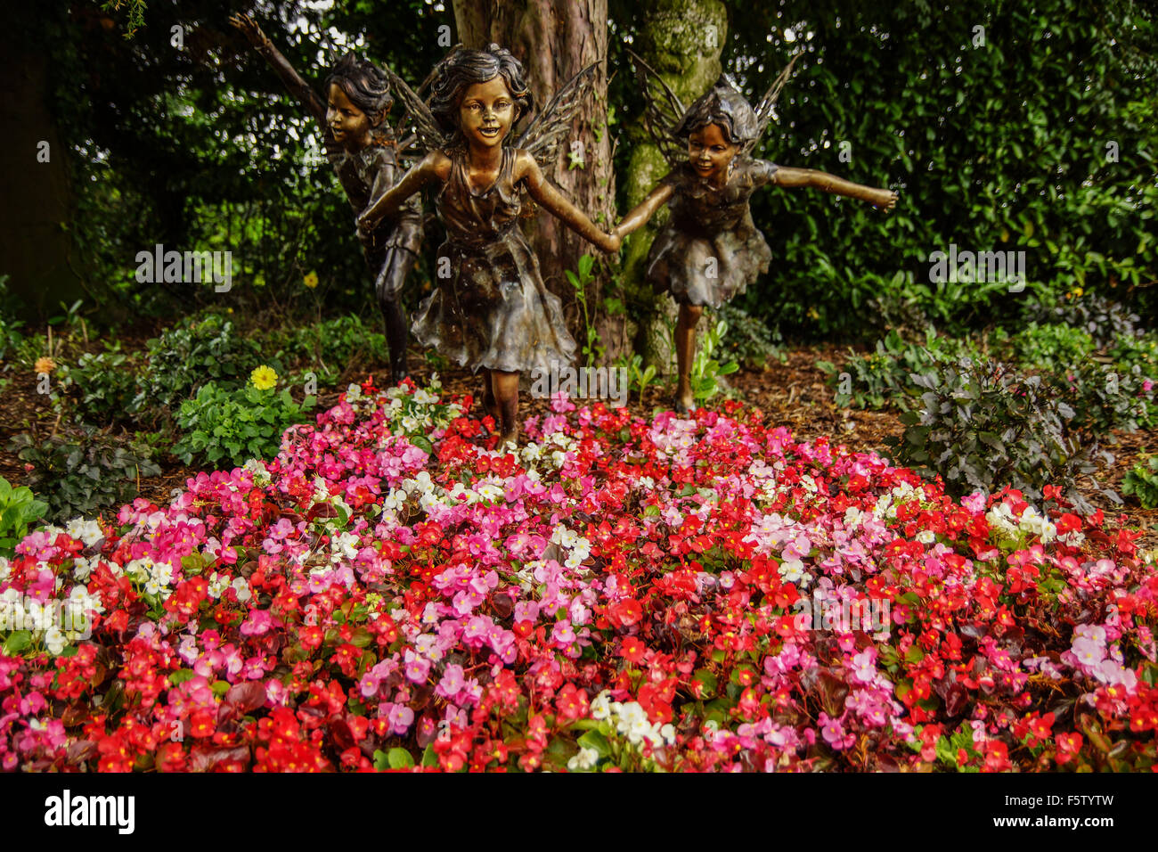 Feen blumen -Fotos und -Bildmaterial in hoher Auflösung – Alamy