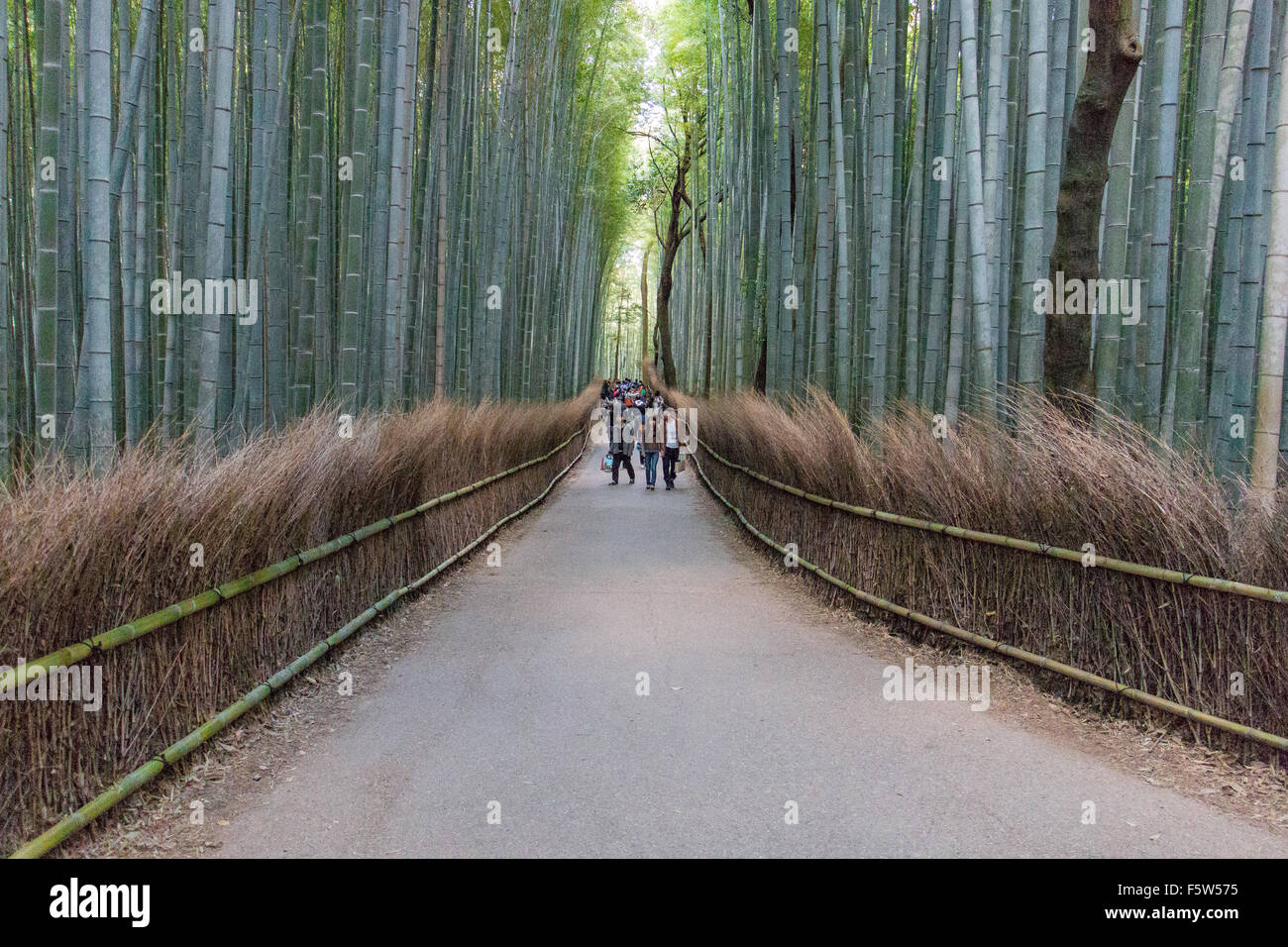 Japan reisepass -Fotos und -Bildmaterial in hoher Auflösung – Alamy
