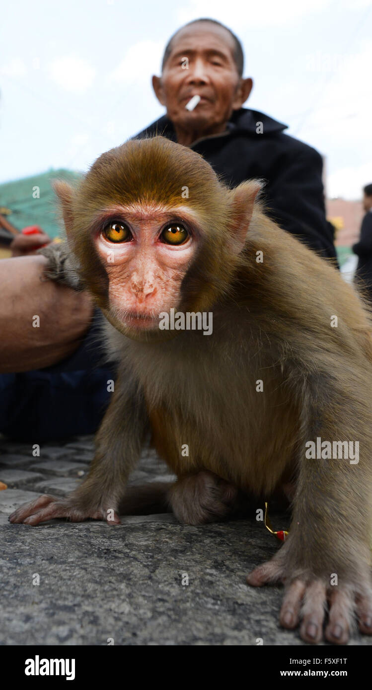 Chinese mann -Fotos und -Bildmaterial in hoher Auflösung – Alamy