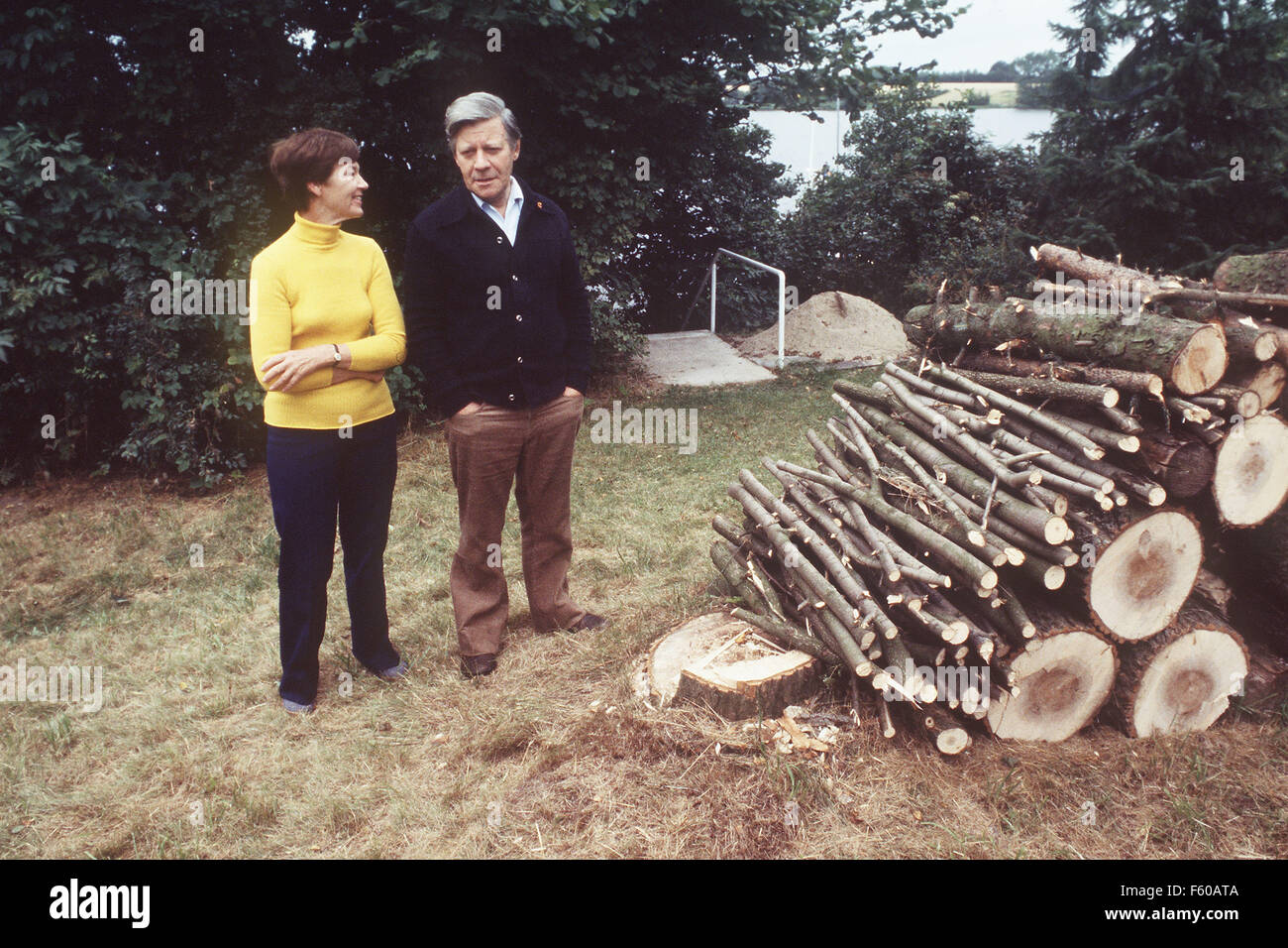 Helmut Schmidt und seine Frau Hannelore stehen neben einem Holzstapel ...