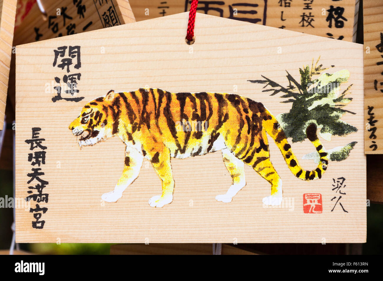 Drawing of a tiger -Fotos und -Bildmaterial in hoher Auflösung – Alamy