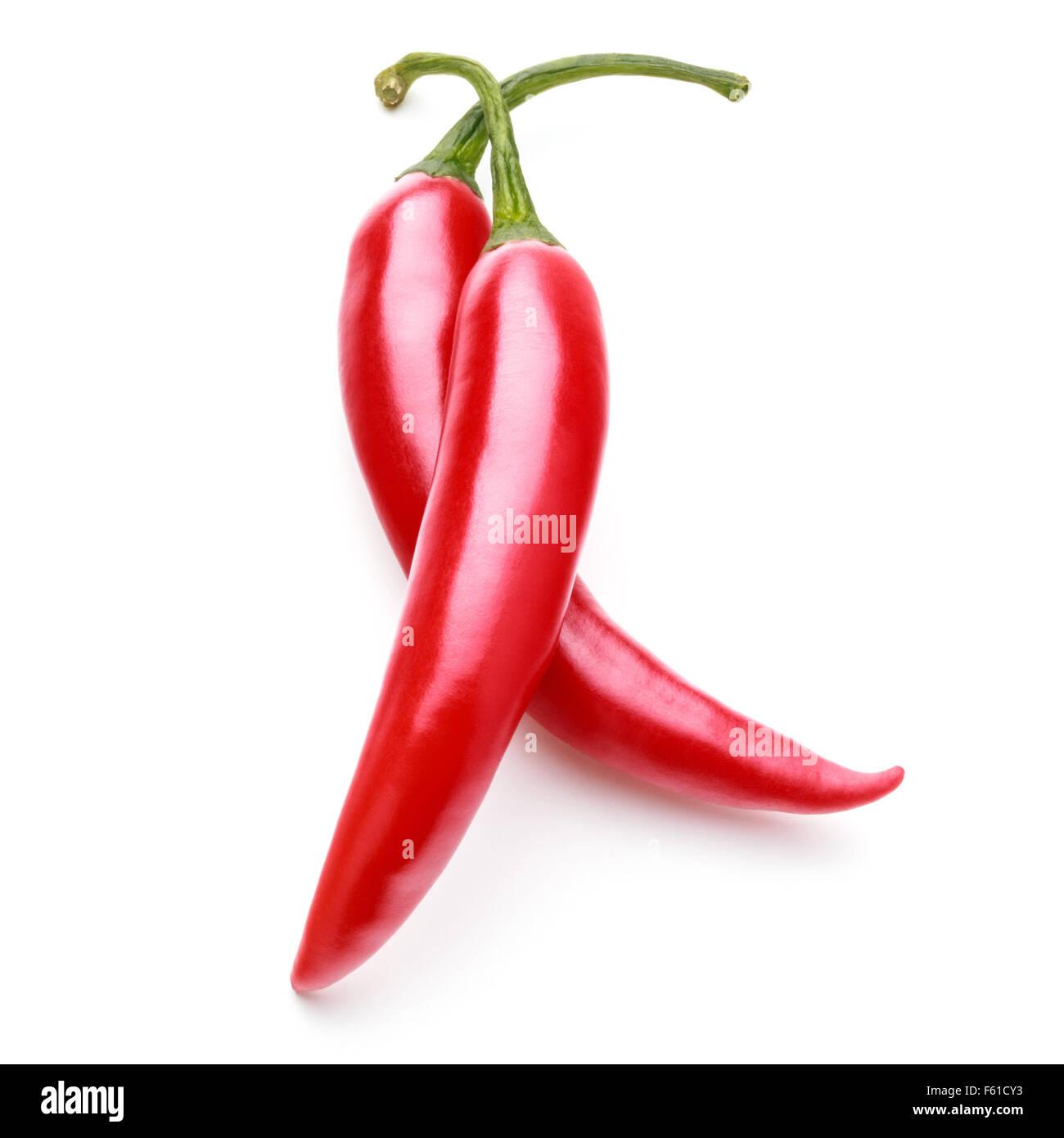 rote Chili oder Cayennepfeffer Chili isoliert auf weißem Hintergrund ...