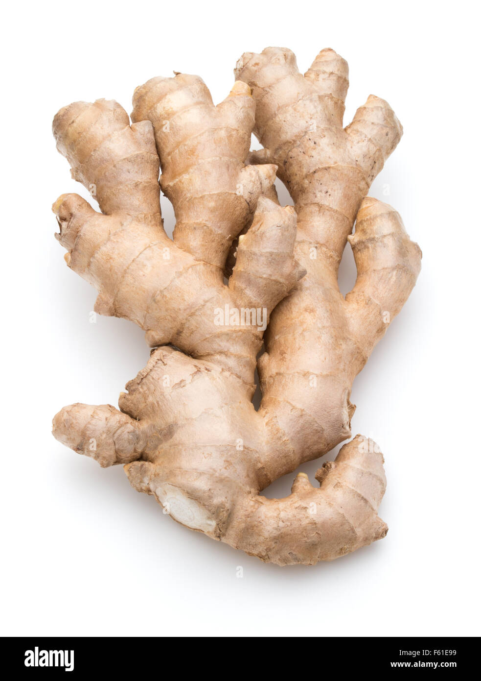 Frische Ingwerwurzel oder Rhizom isoliert auf weißem Hintergrund ...