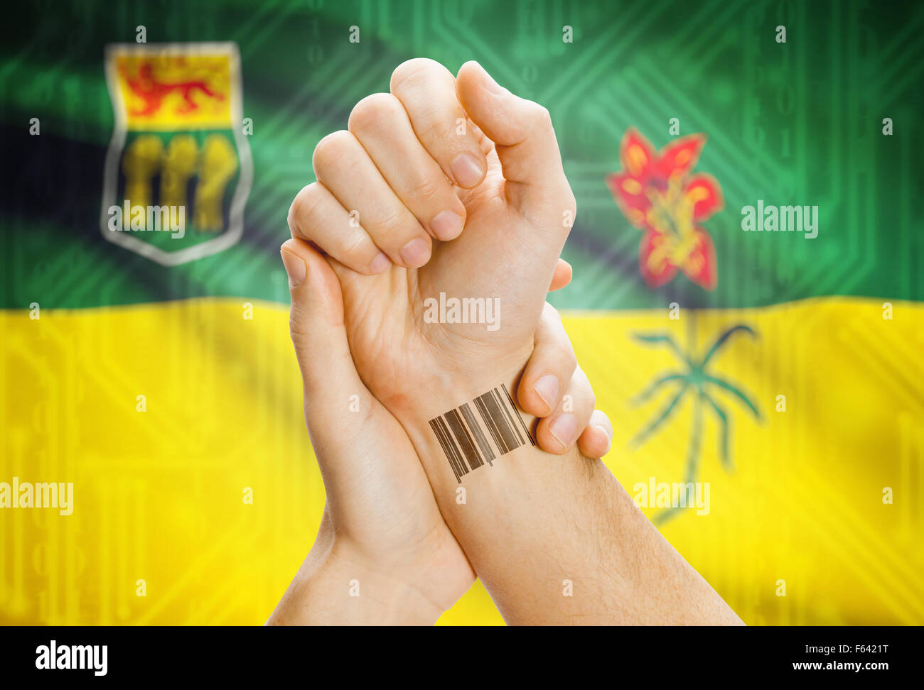 Barcode-ID Nummer Tatoo am Handgelenk und kanadischen Provinz Flagge ...