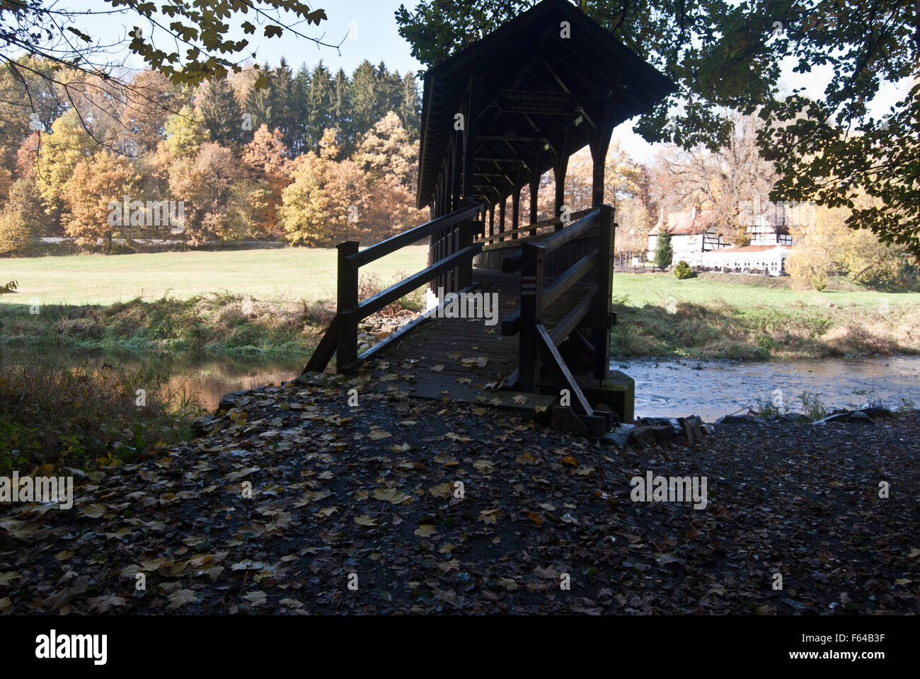 Weisse elster -Fotos und -Bildmaterial in hoher Auflösung – Alamy