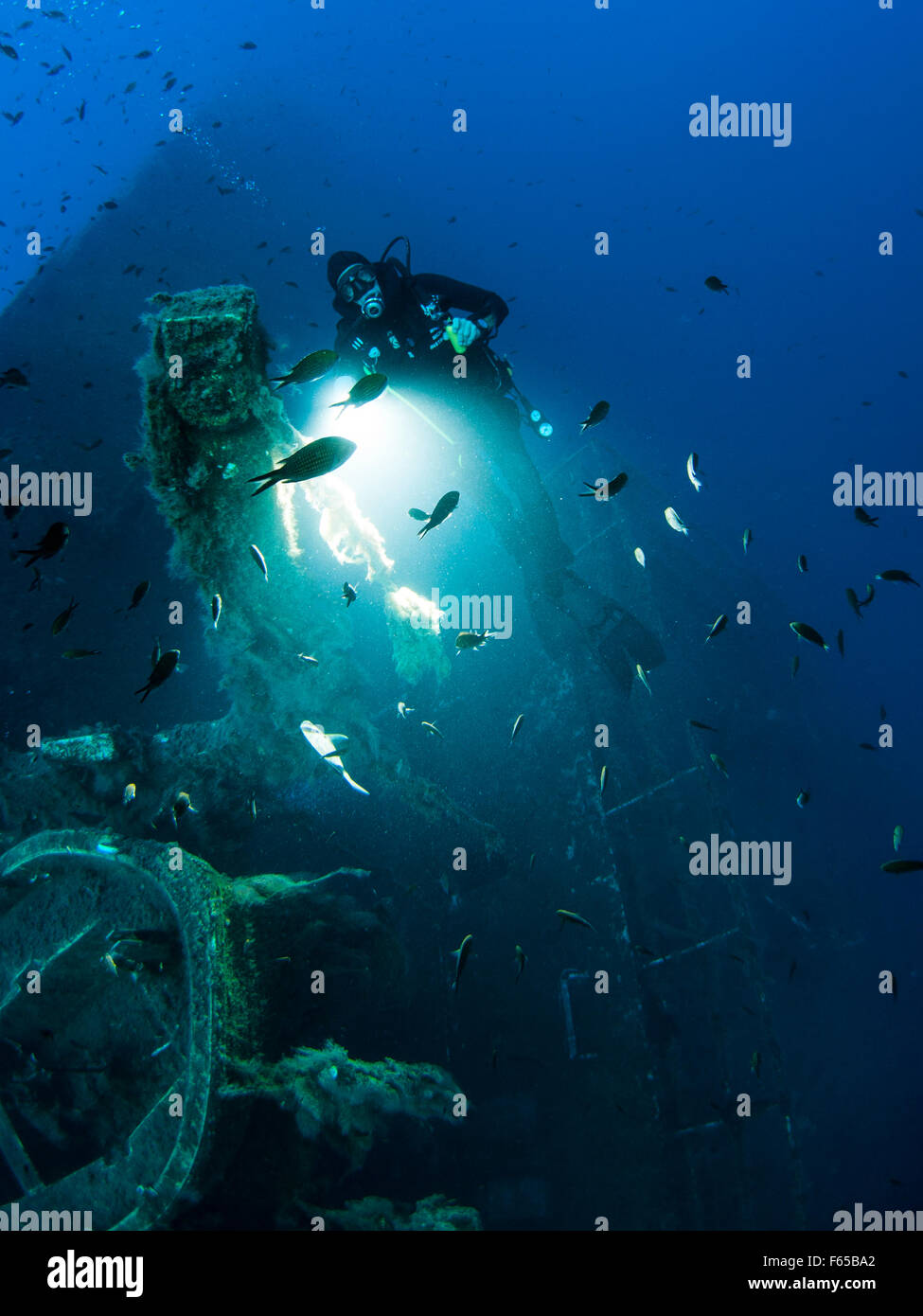Taucher bei der MS Zenobia Schiffbruch. MS Zenobia war eine schwedische ...