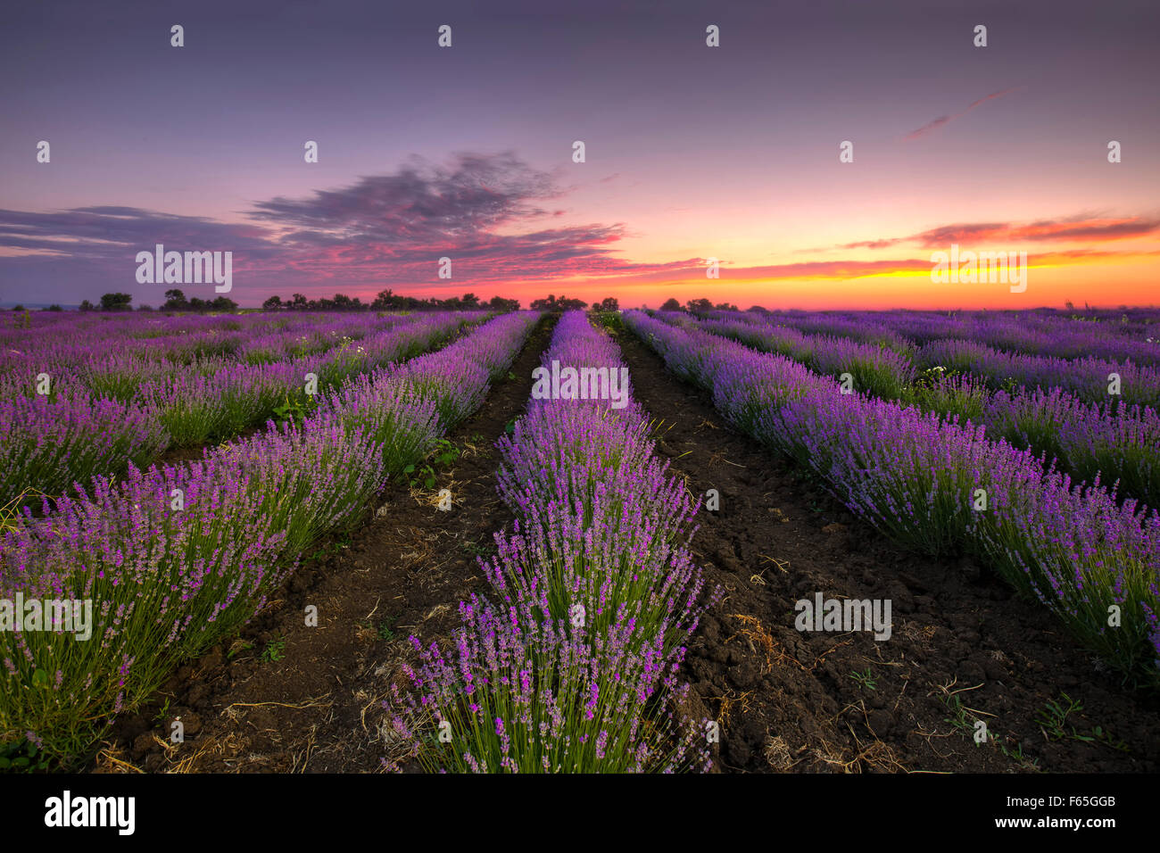 Lila himmel -Fotos und -Bildmaterial in hoher Auflösung – Alamy