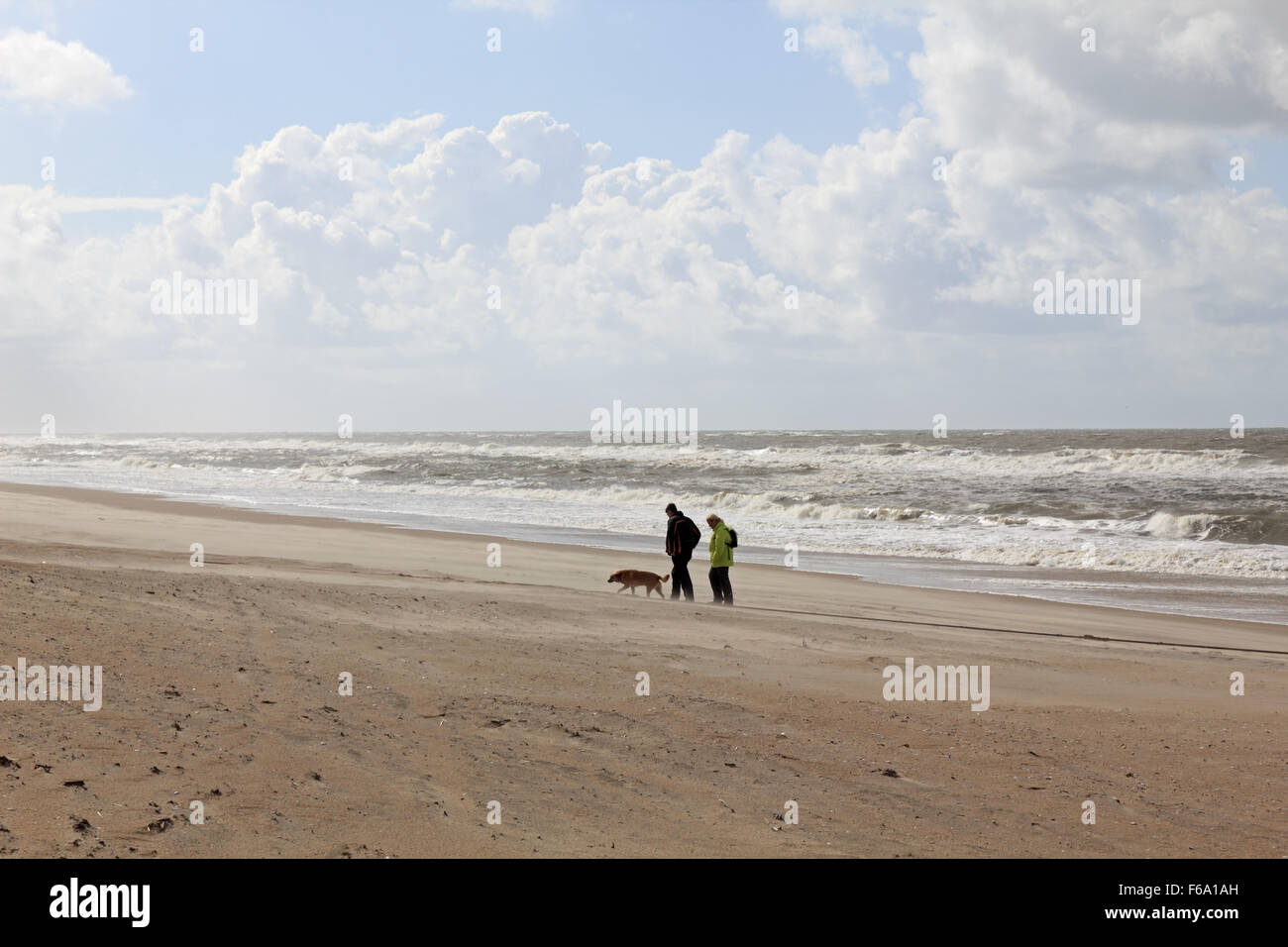 Spaziergang mit Hund am Strand von Søndervig, Houvig Strand, Jütland ...