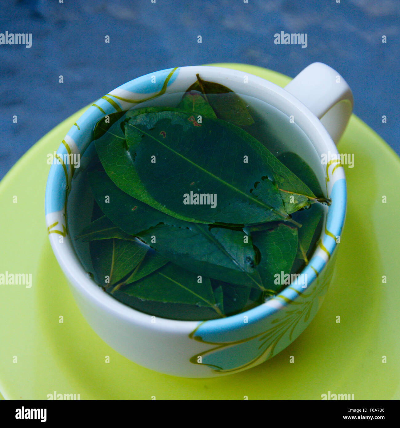 Mate De Coca Stockfotos und -bilder Kaufen - Alamy