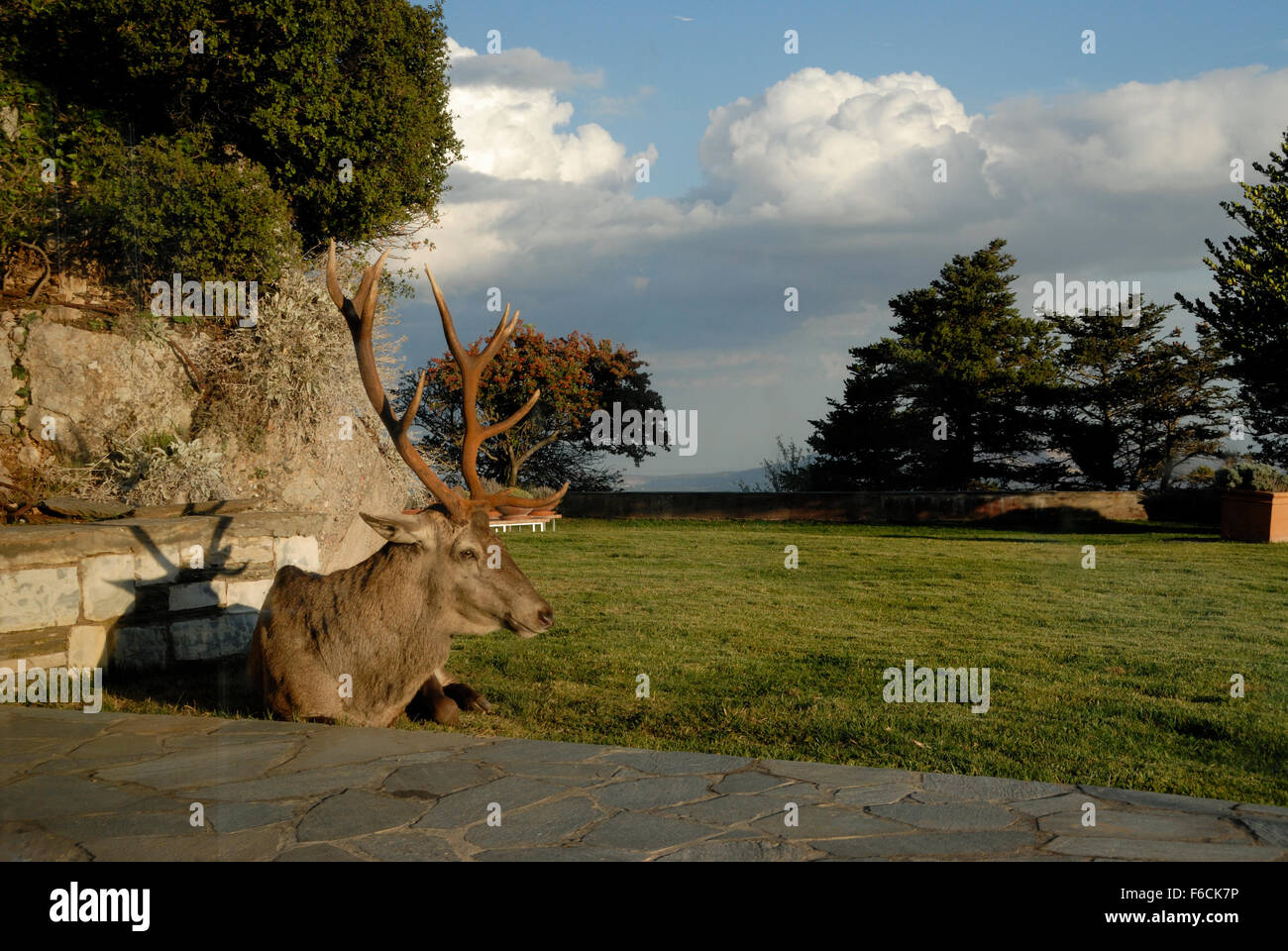 Parnitha nationalpark -Fotos und -Bildmaterial in hoher Auflösung – Alamy