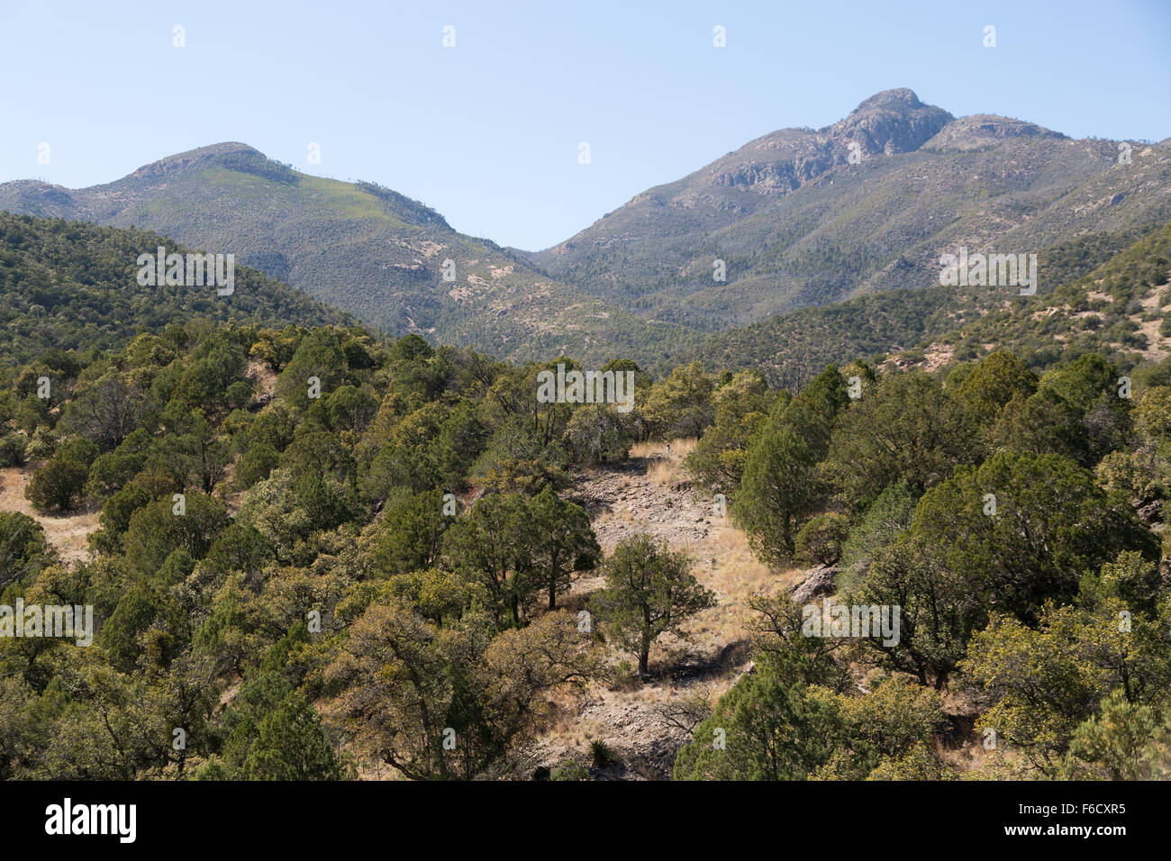 Mount wrightson santa rita mountains -Fotos und -Bildmaterial in hoher ...
