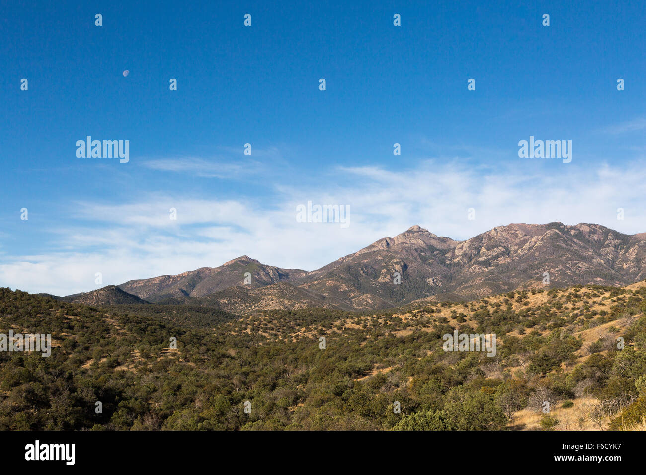 Mount wrightson wildnis -Fotos und -Bildmaterial in hoher Auflösung – Alamy