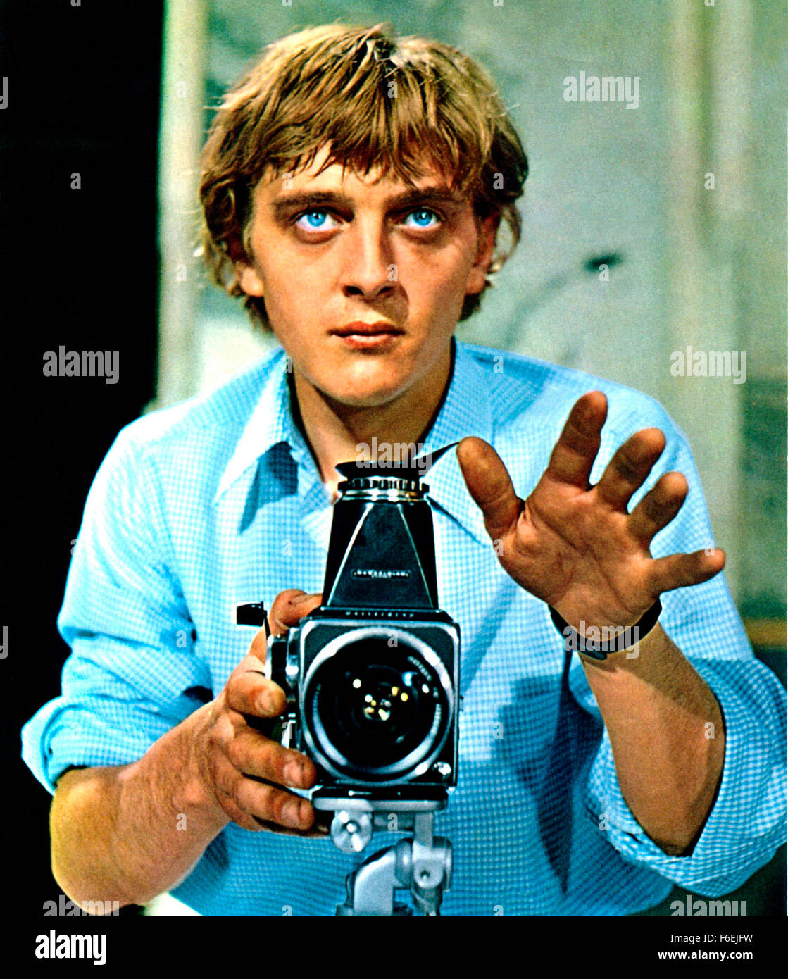 David birkin -Fotos und -Bildmaterial in hoher Auflösung – Alamy