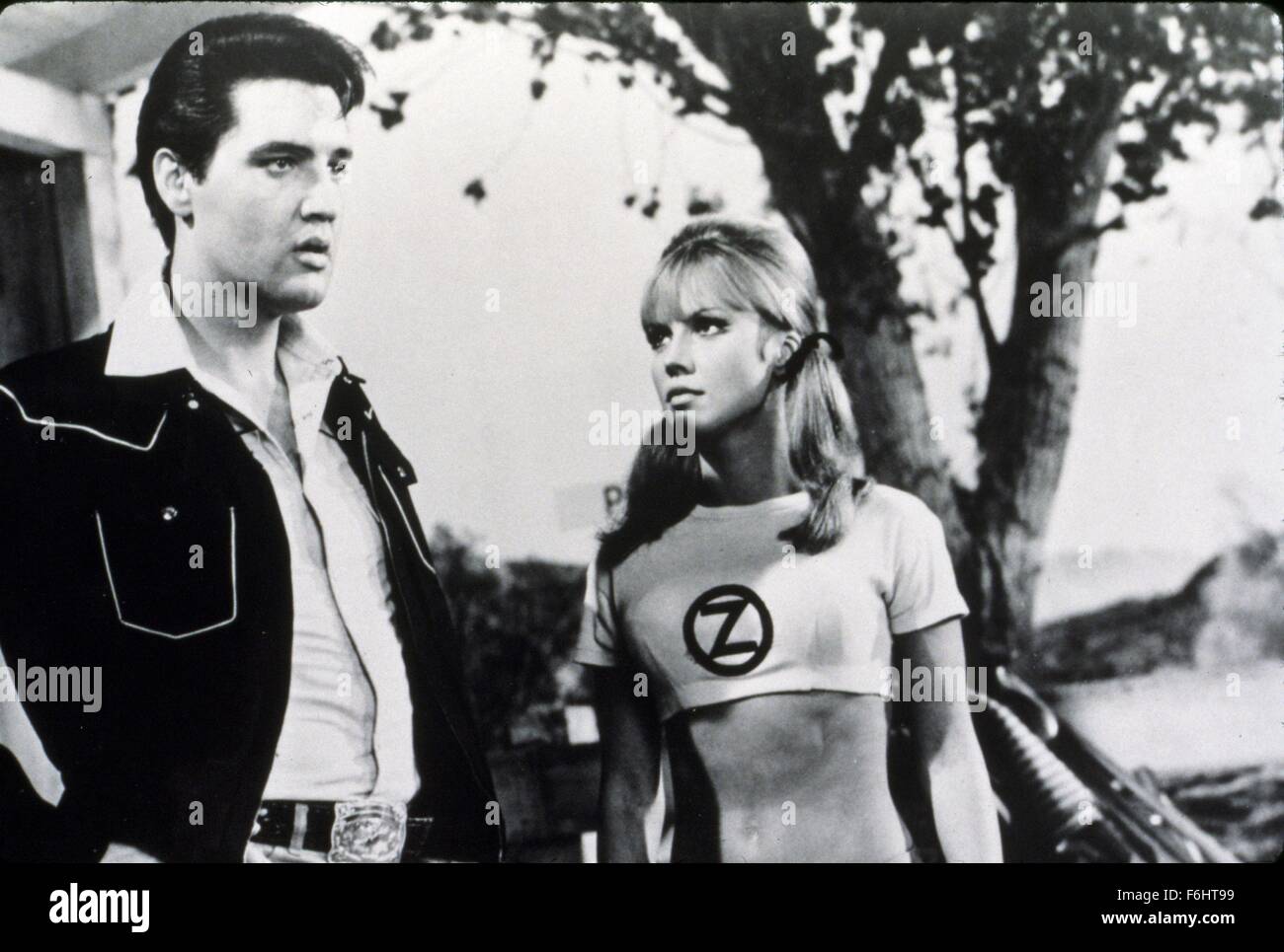 1965, Filmtitel: TICKLE ME, Regie: NORMAN TAUROG, Studio: AA, im Bild ...