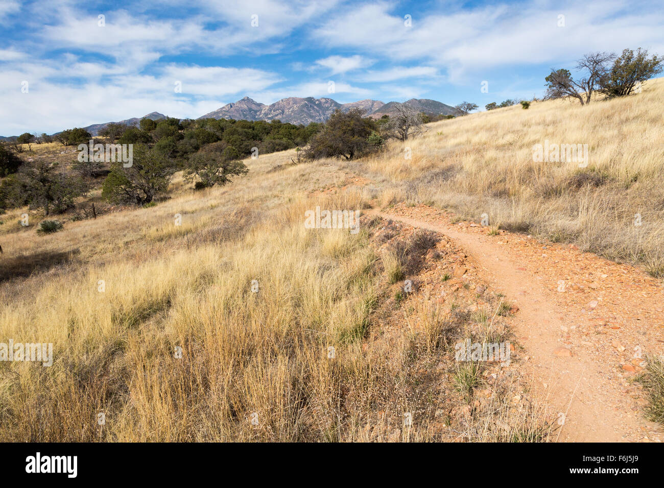 Mount wrightson santa rita mountains -Fotos und -Bildmaterial in hoher ...