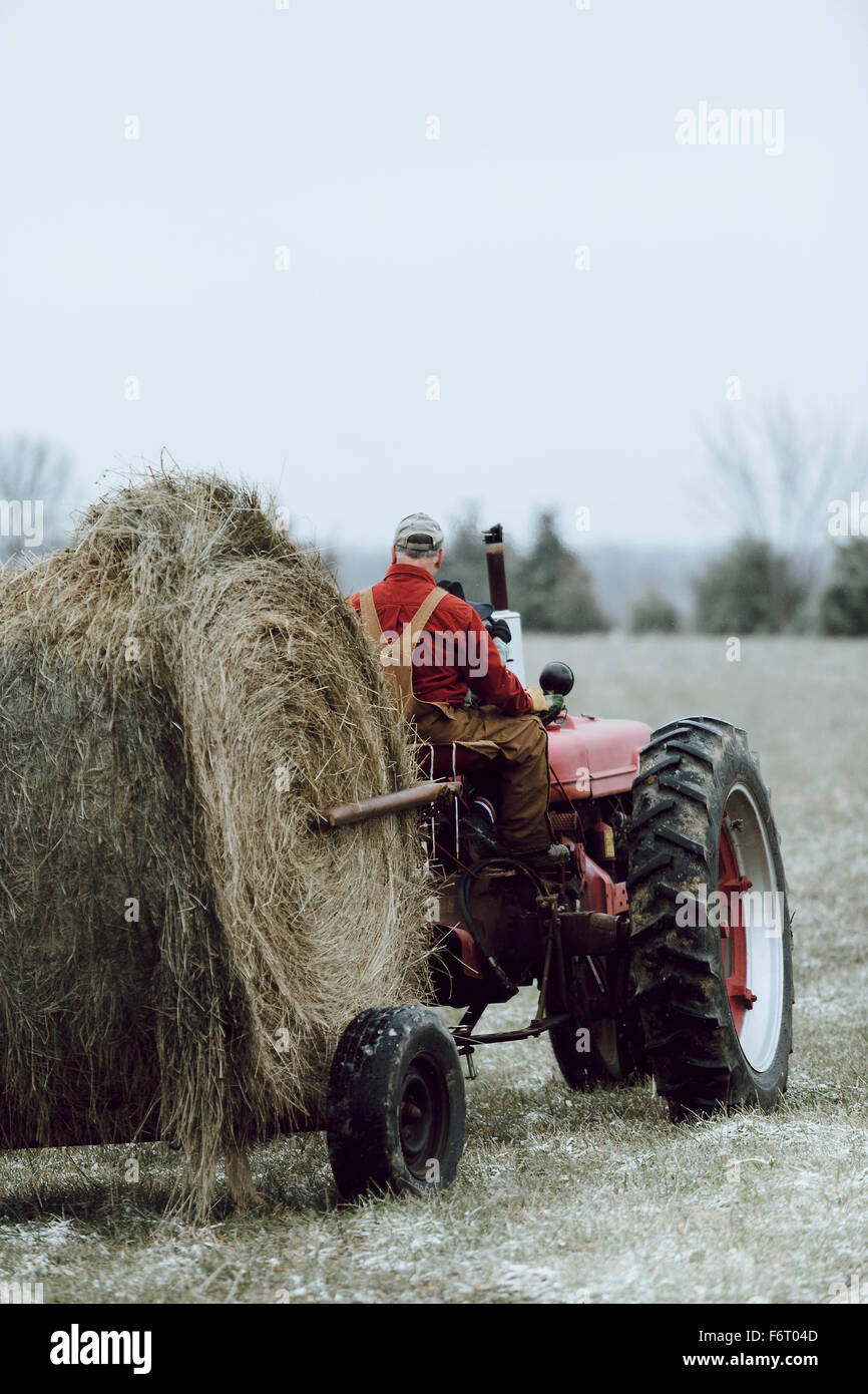 Kaukasische Bauer Traktor fahren, im Feld Stockfotografie - Alamy