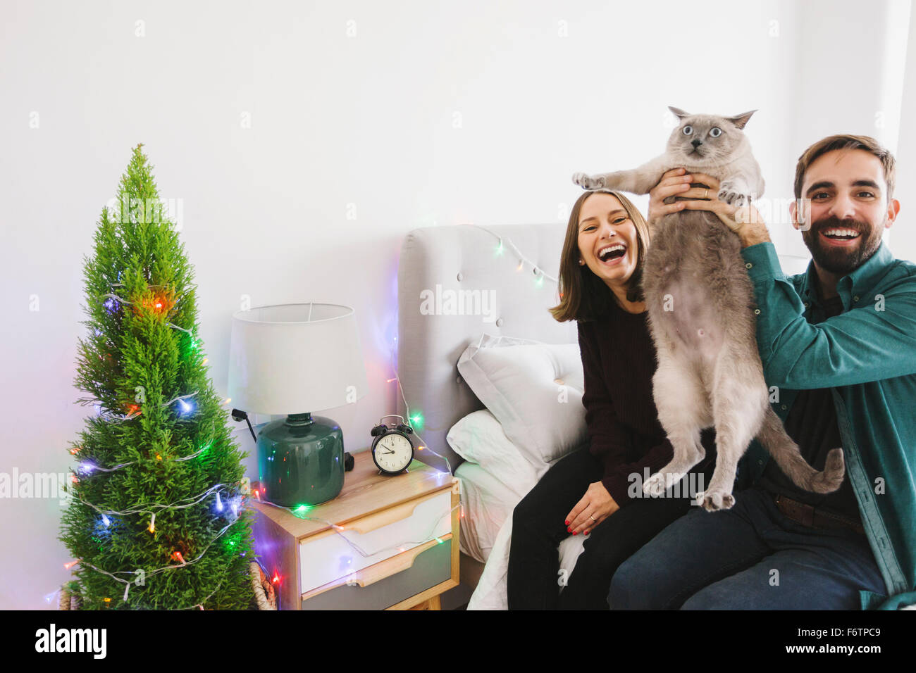 Die lachende katze -Fotos und -Bildmaterial in hoher Auflösung – Alamy