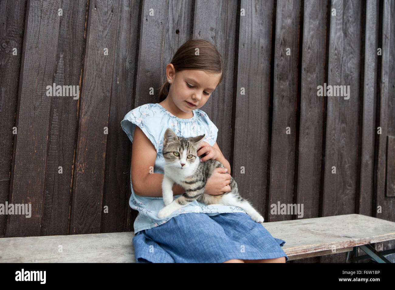 Mädchen mit katze -Fotos und -Bildmaterial in hoher Auflösung – Alamy