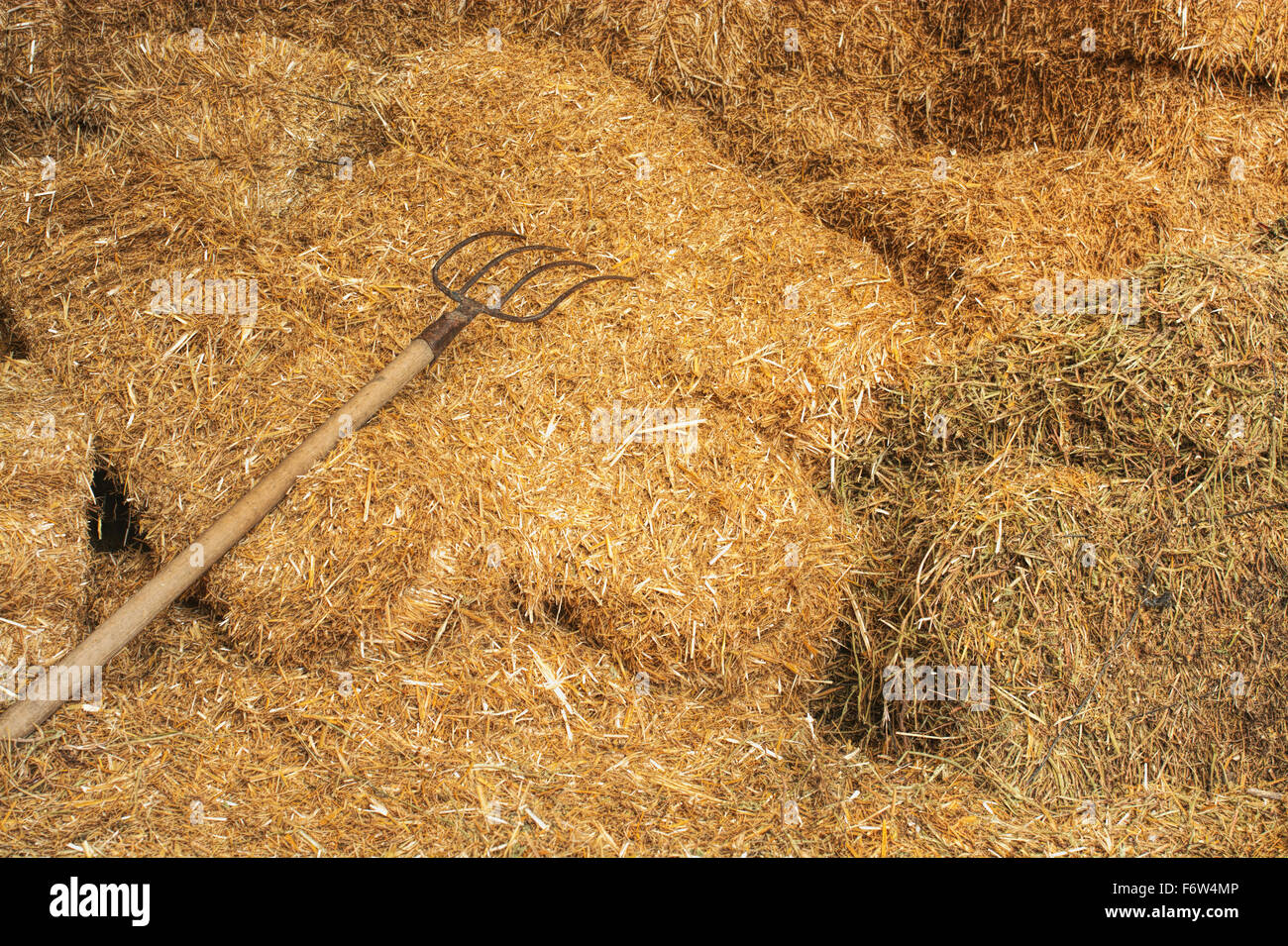 Stroh industrie -Fotos und -Bildmaterial in hoher Auflösung – Alamy