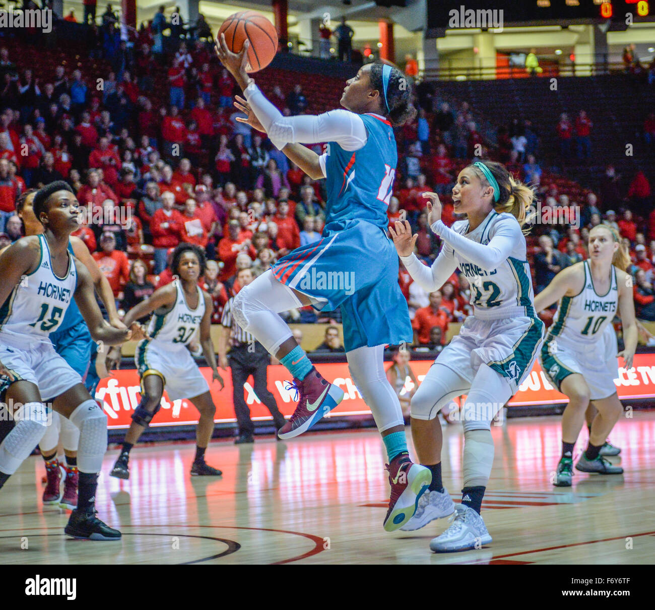 Rio Rancho, New Mexico, USA. 21. November 2015. Journal.Lobo Guard ...