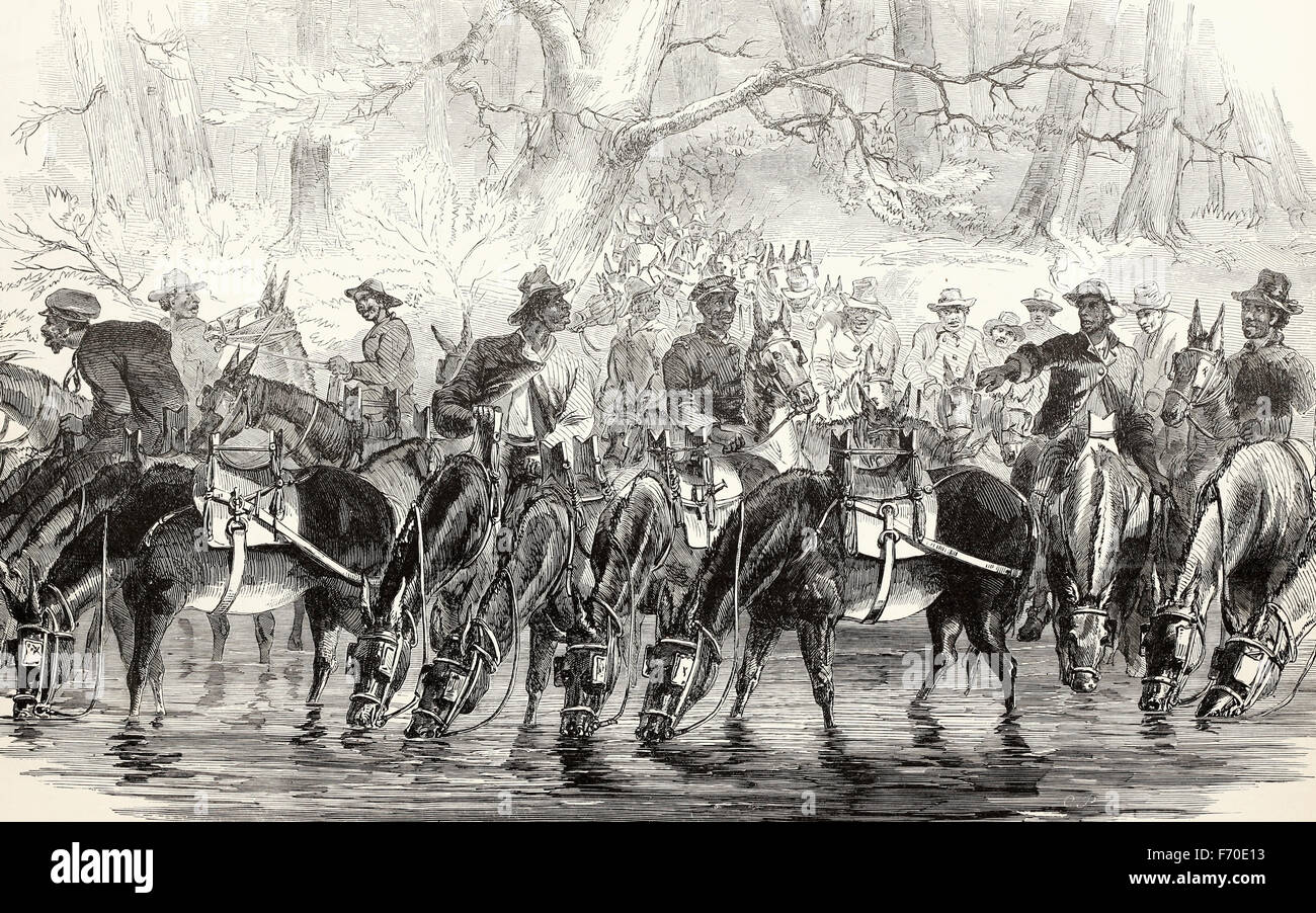 Negro-Treiber von der Tross an General Pleasonton Kavallerie-Brigade ...