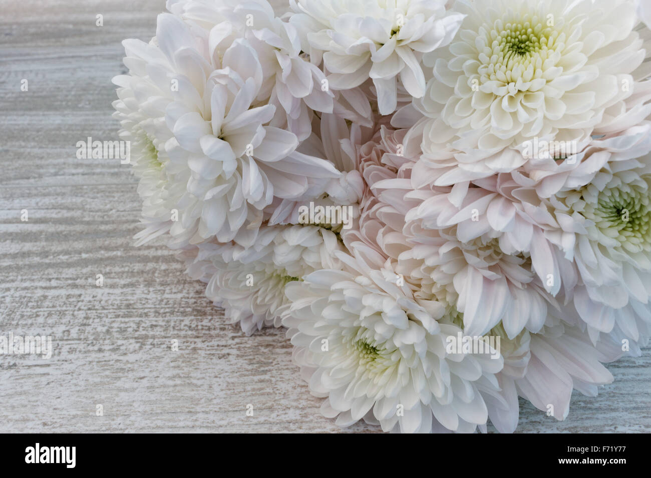 Chrysanthemum bouquet -Fotos und -Bildmaterial in hoher Auflösung – Alamy