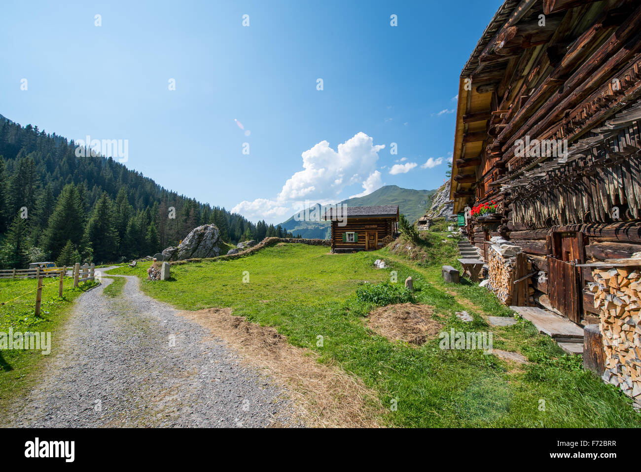 Swiss chalet garden -Fotos und -Bildmaterial in hoher Auflösung – Alamy