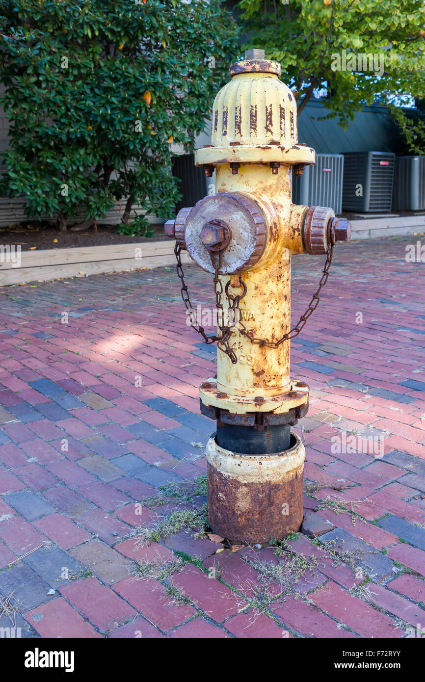 Yellow Fire Hydrant-Standrohr auf Straße, Newport, Rhode Island ...
